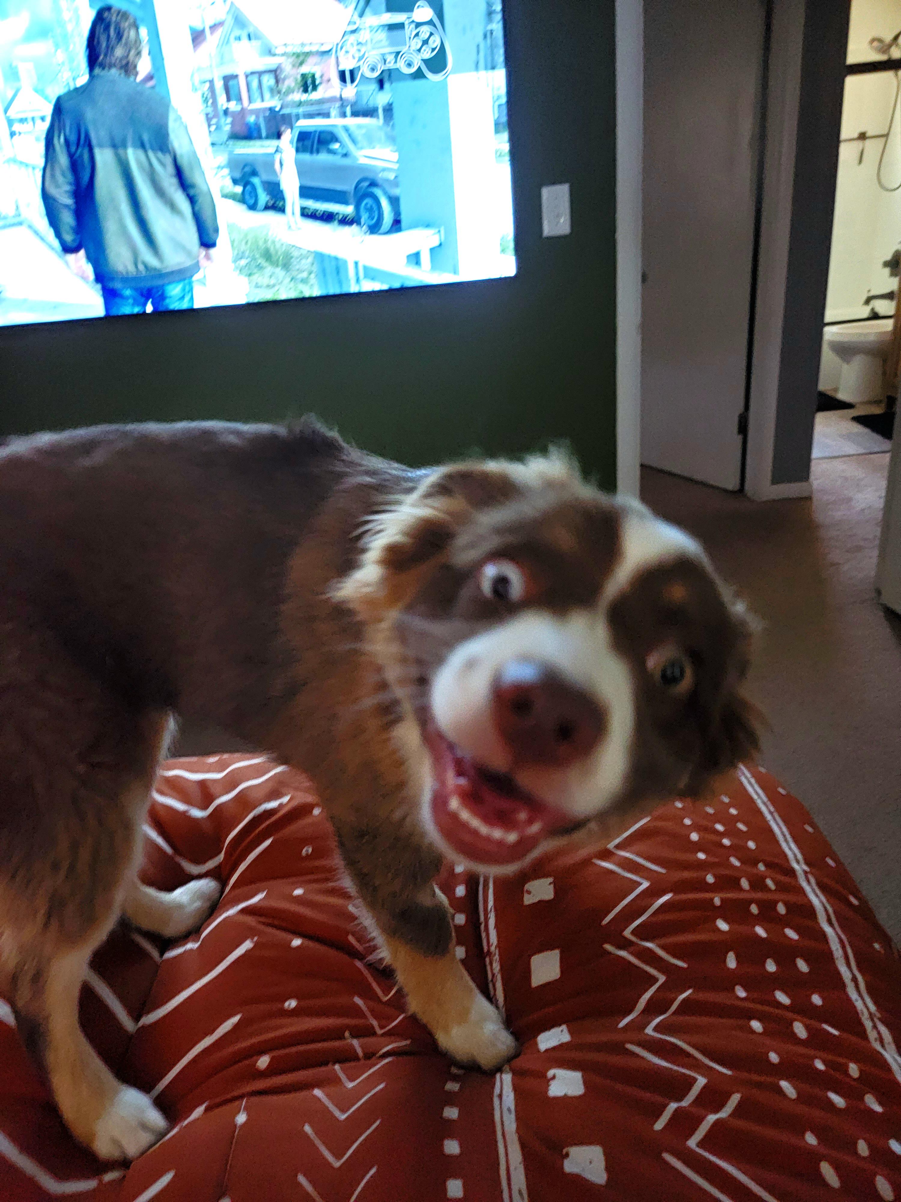 It's the forced perspective, I swear... 😂 | Scrolller