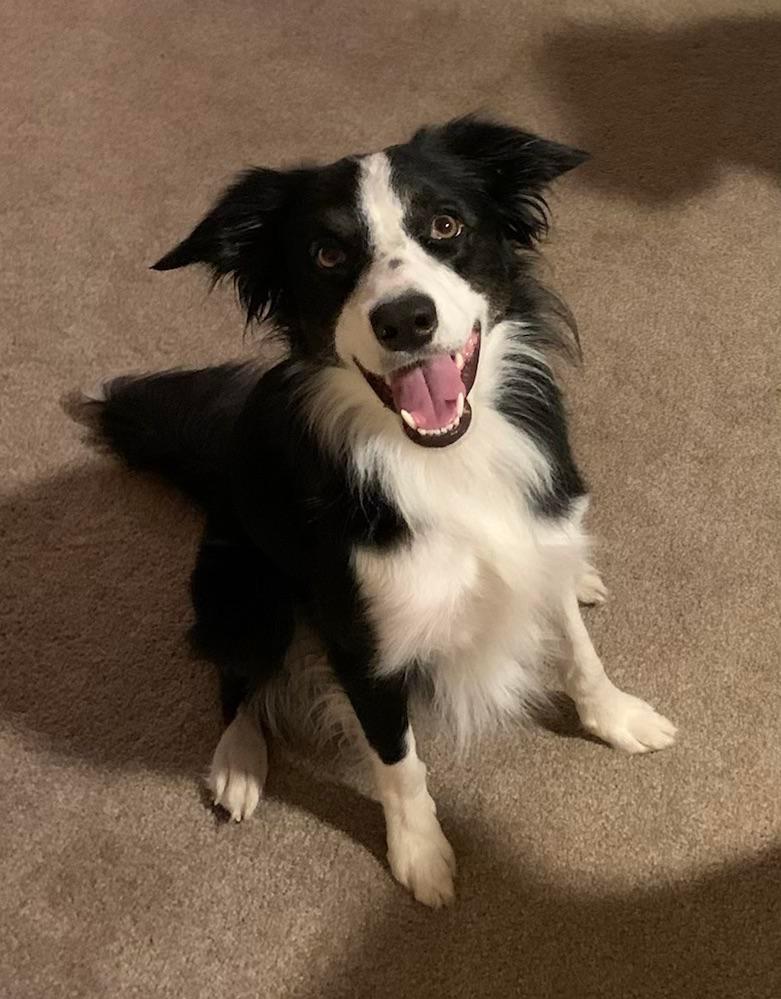 Jessie’s smile here is so contagious | Scrolller