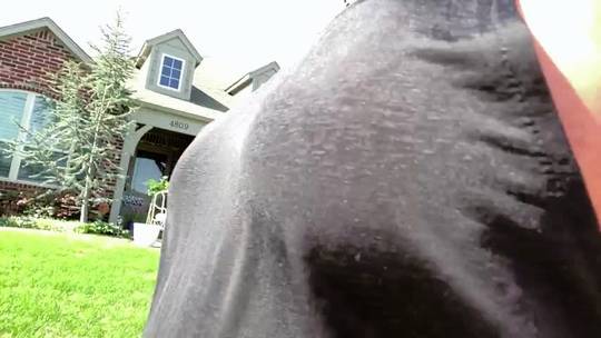 Just a little morning walk. Do you approve ? | Scrolller