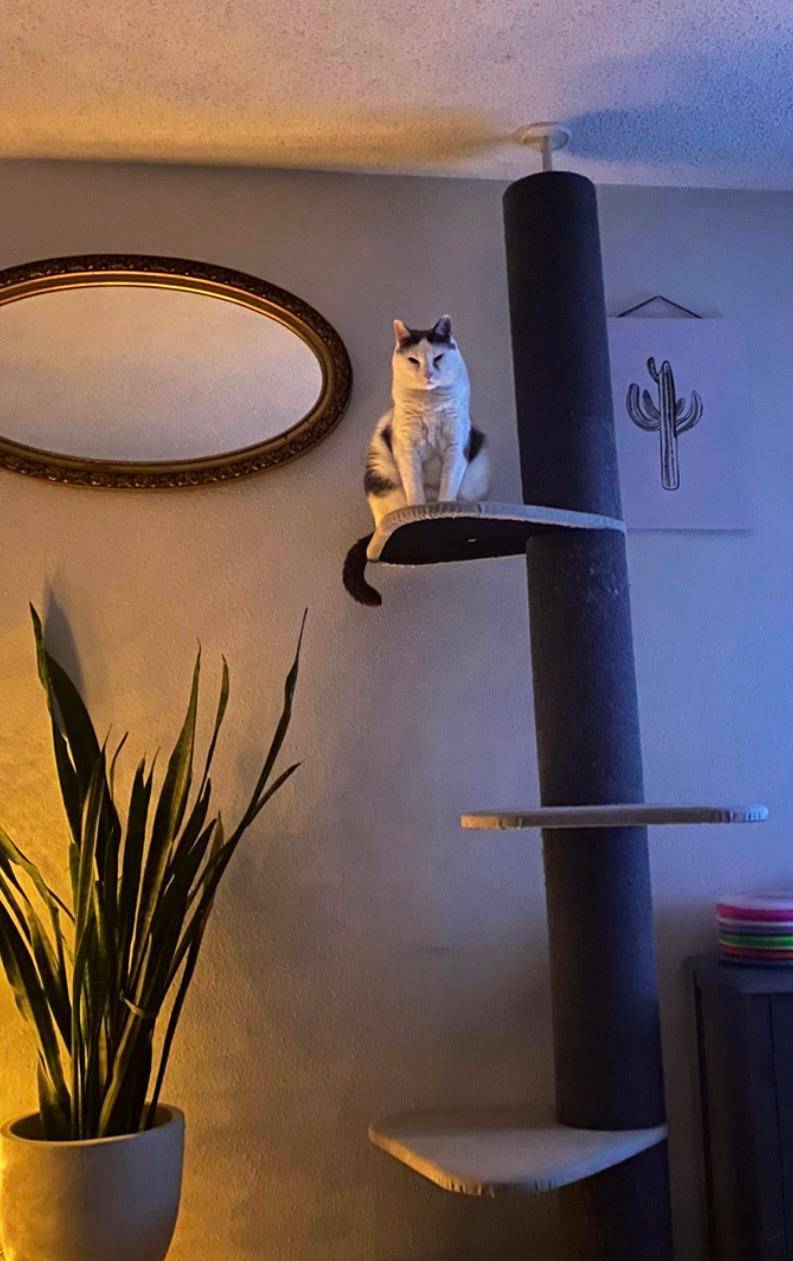 Just Albus plotting my demise | Scrolller