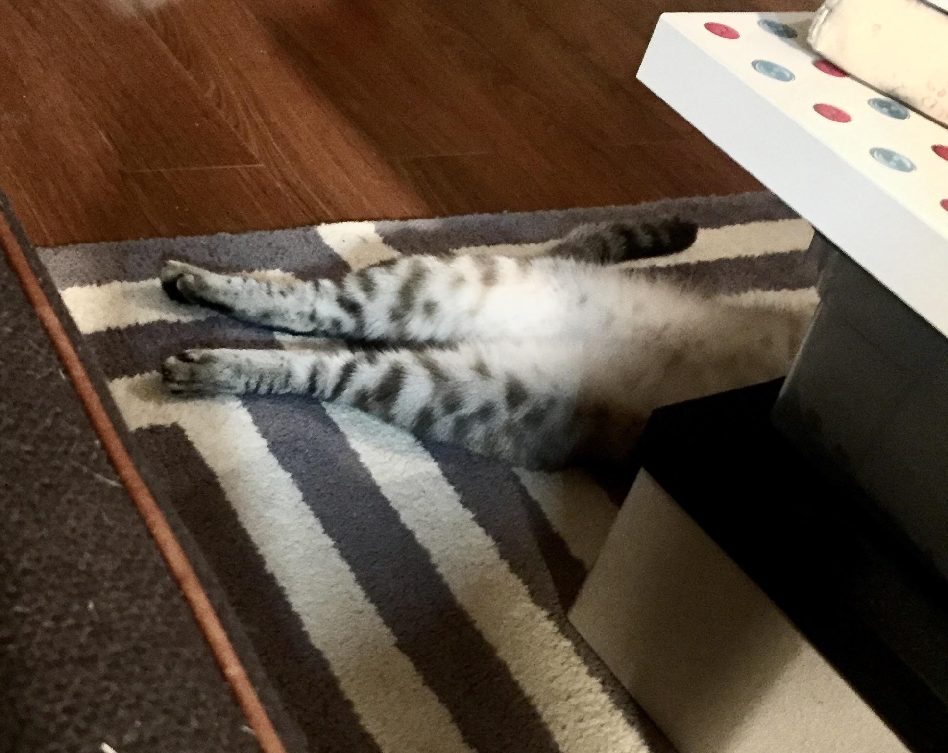 Just checkin the oil | Scrolller