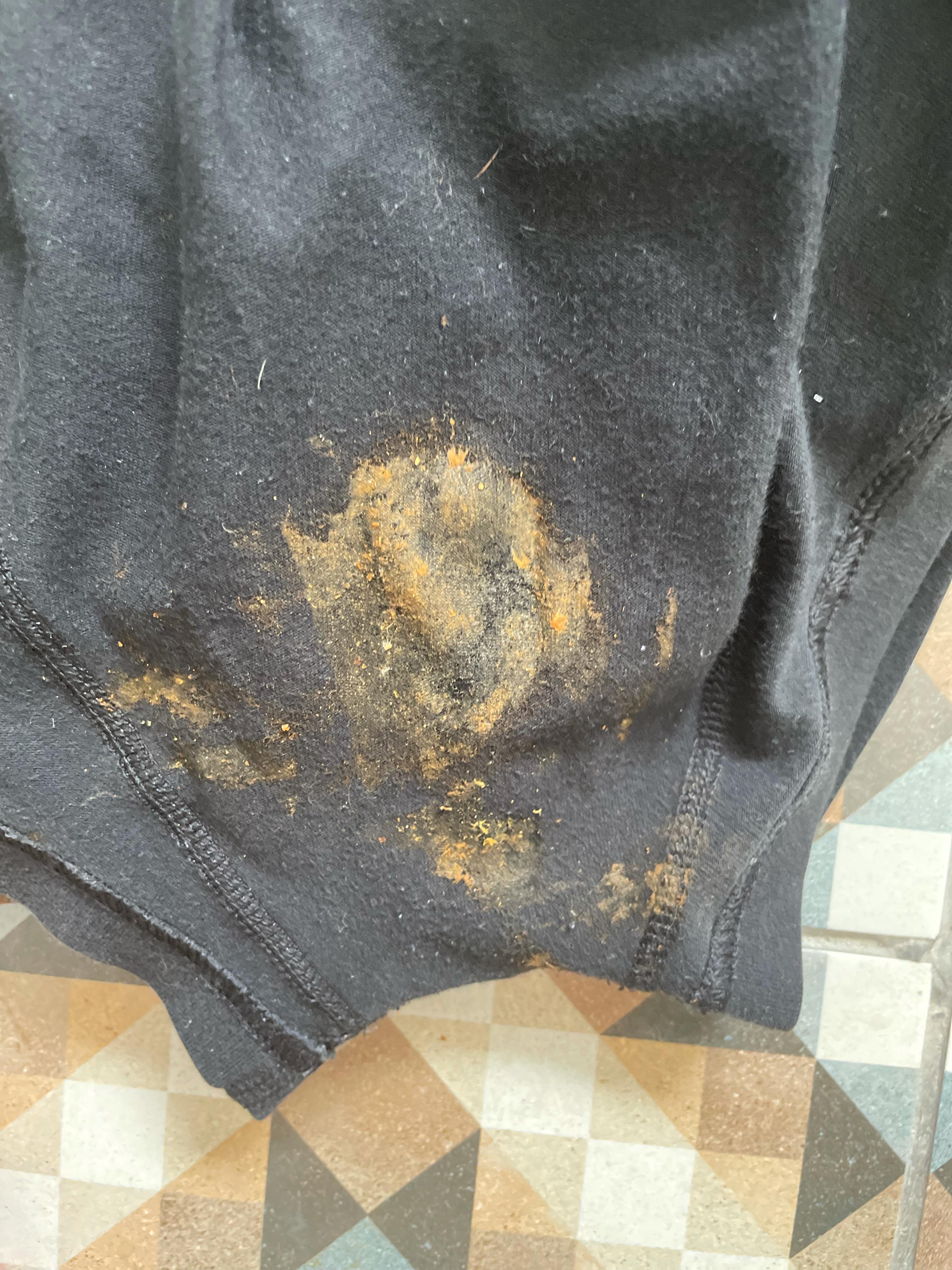 Just had a very sloppy poop | Scrolller