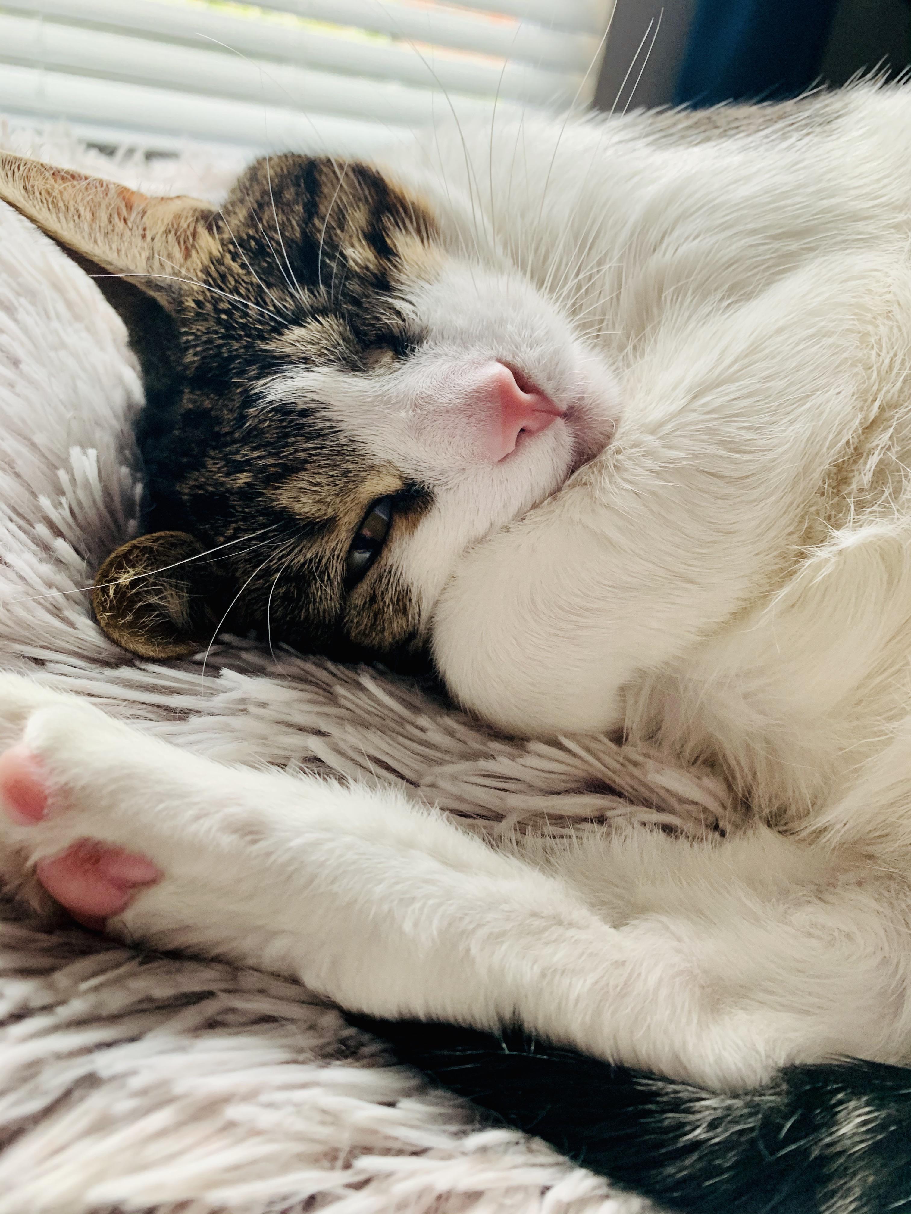 Just woke up from her nap | Scrolller