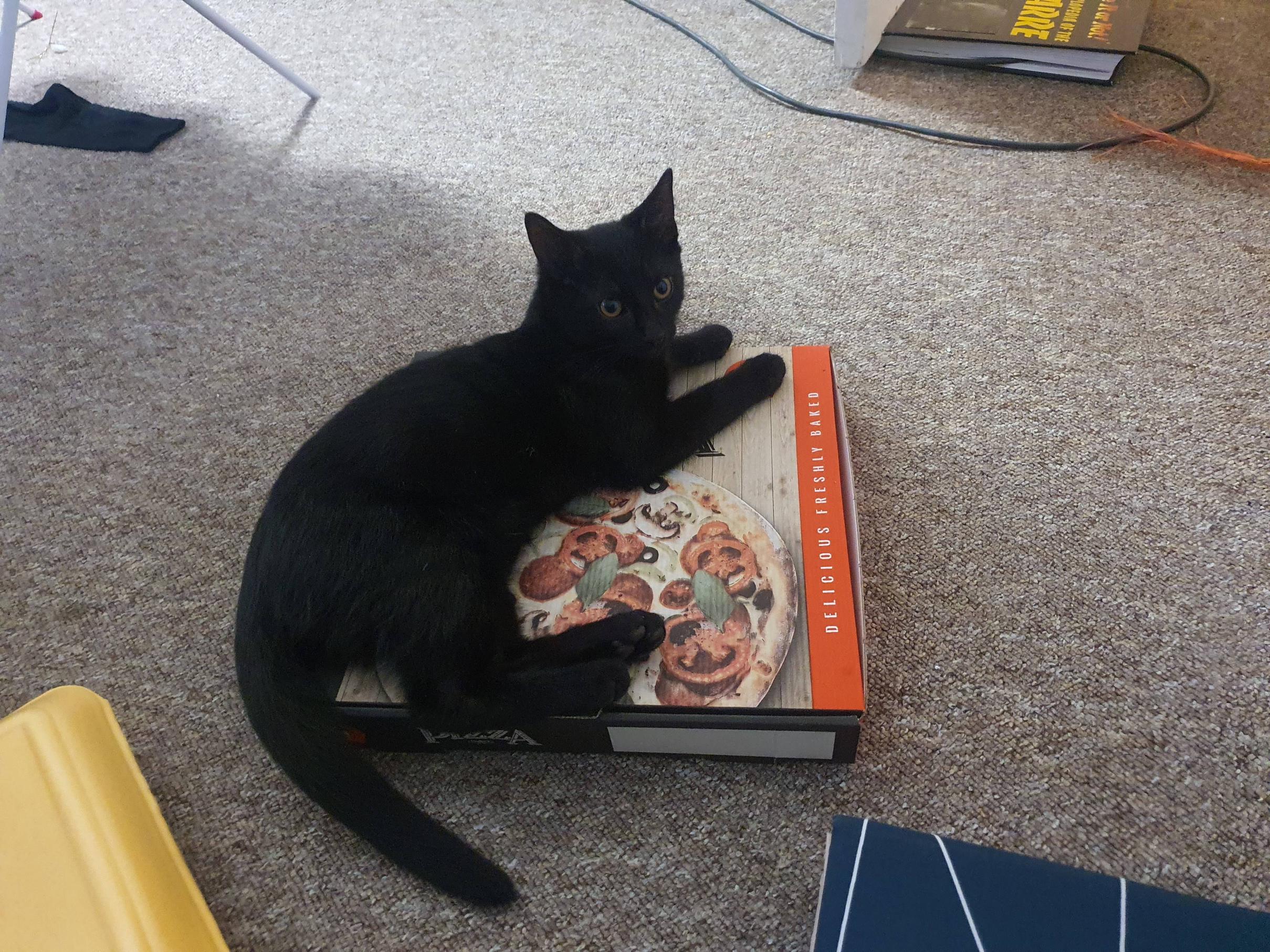 Keeping it warm | Scrolller