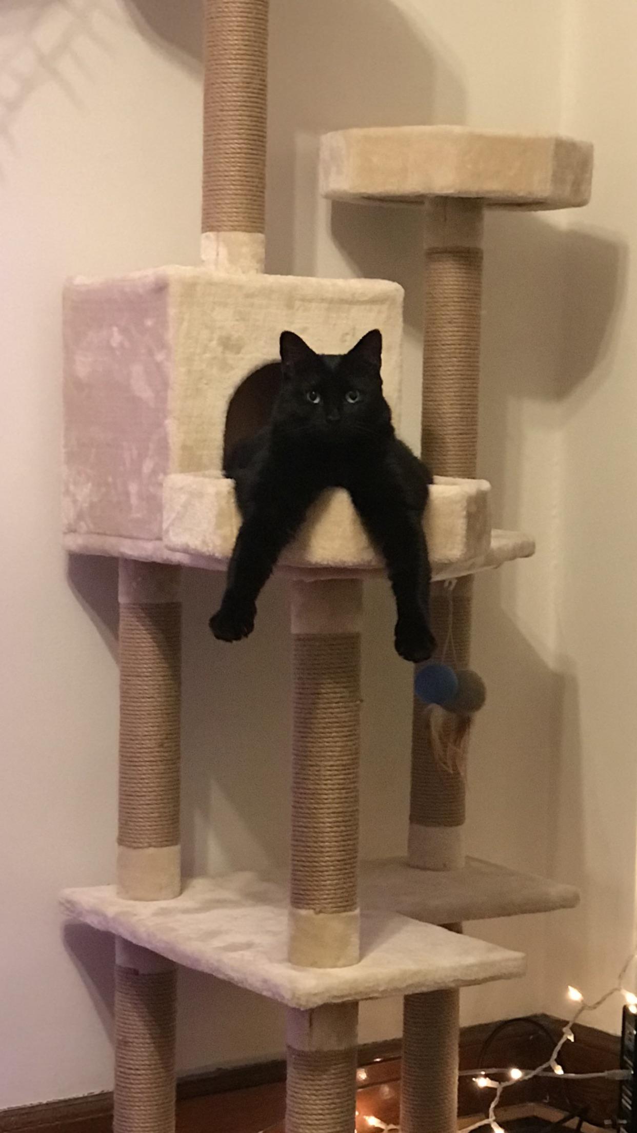 Lady peanut showing off her new crib | Scrolller