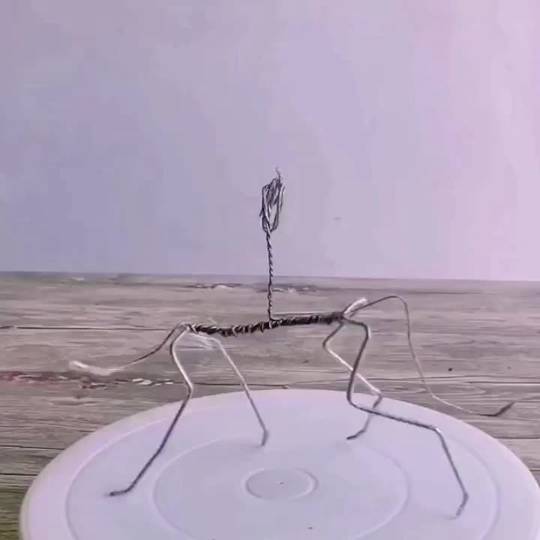 Laozi Sculpture | Scrolller