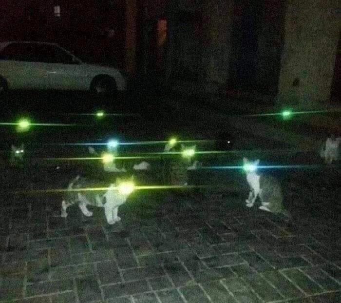 Laser Assembly | Scrolller