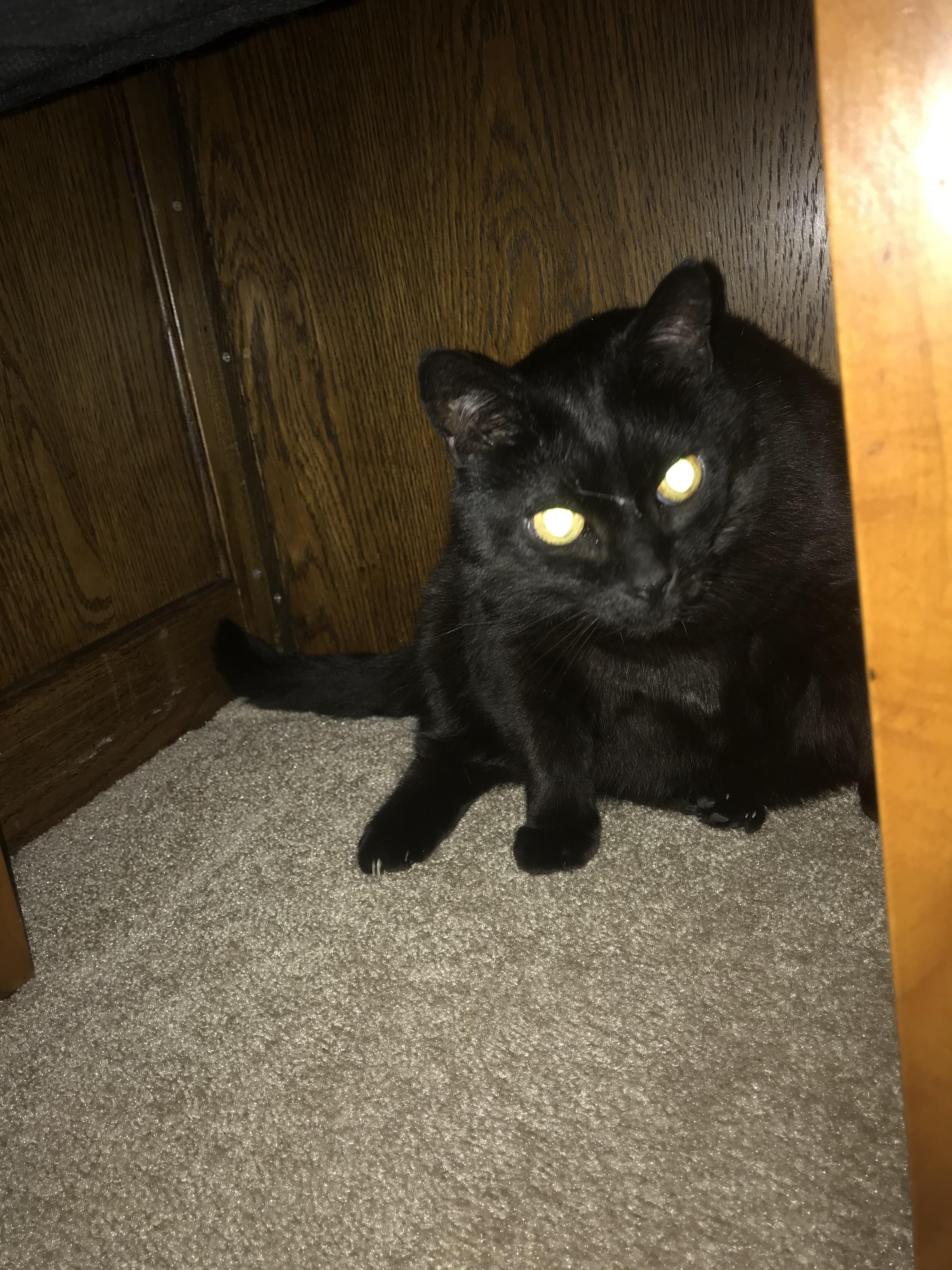 Laser-eyed girl | Scrolller