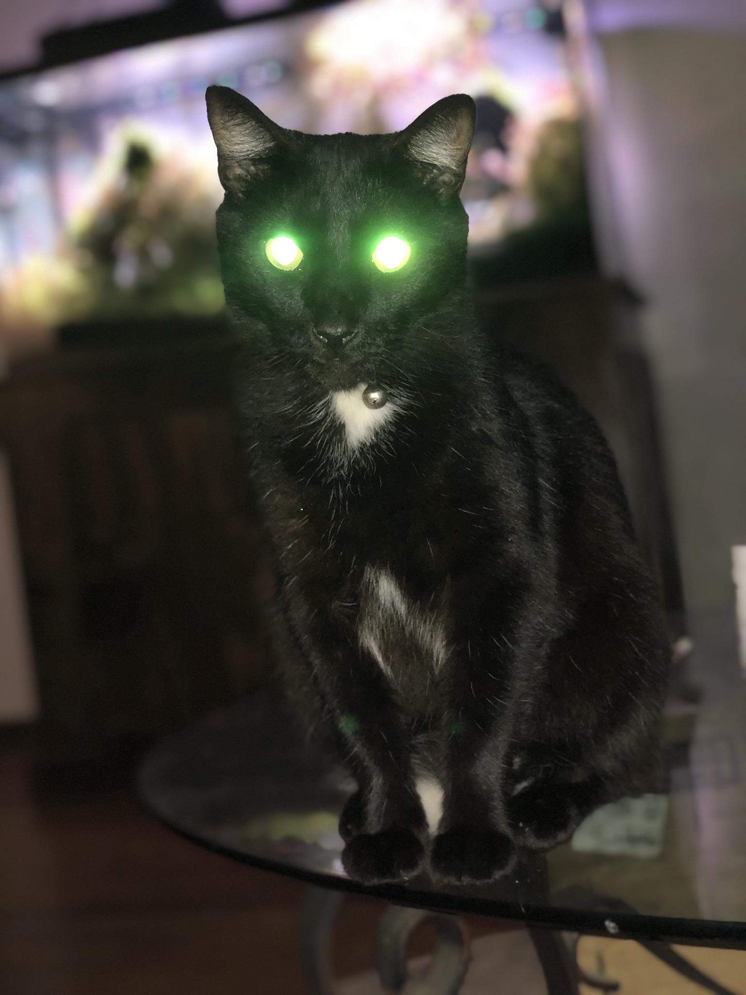 Laser eyes activated | Scrolller