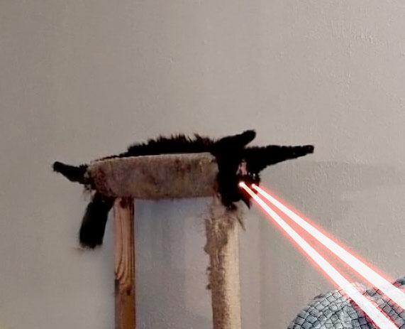 Laser Eyes | Scrolller