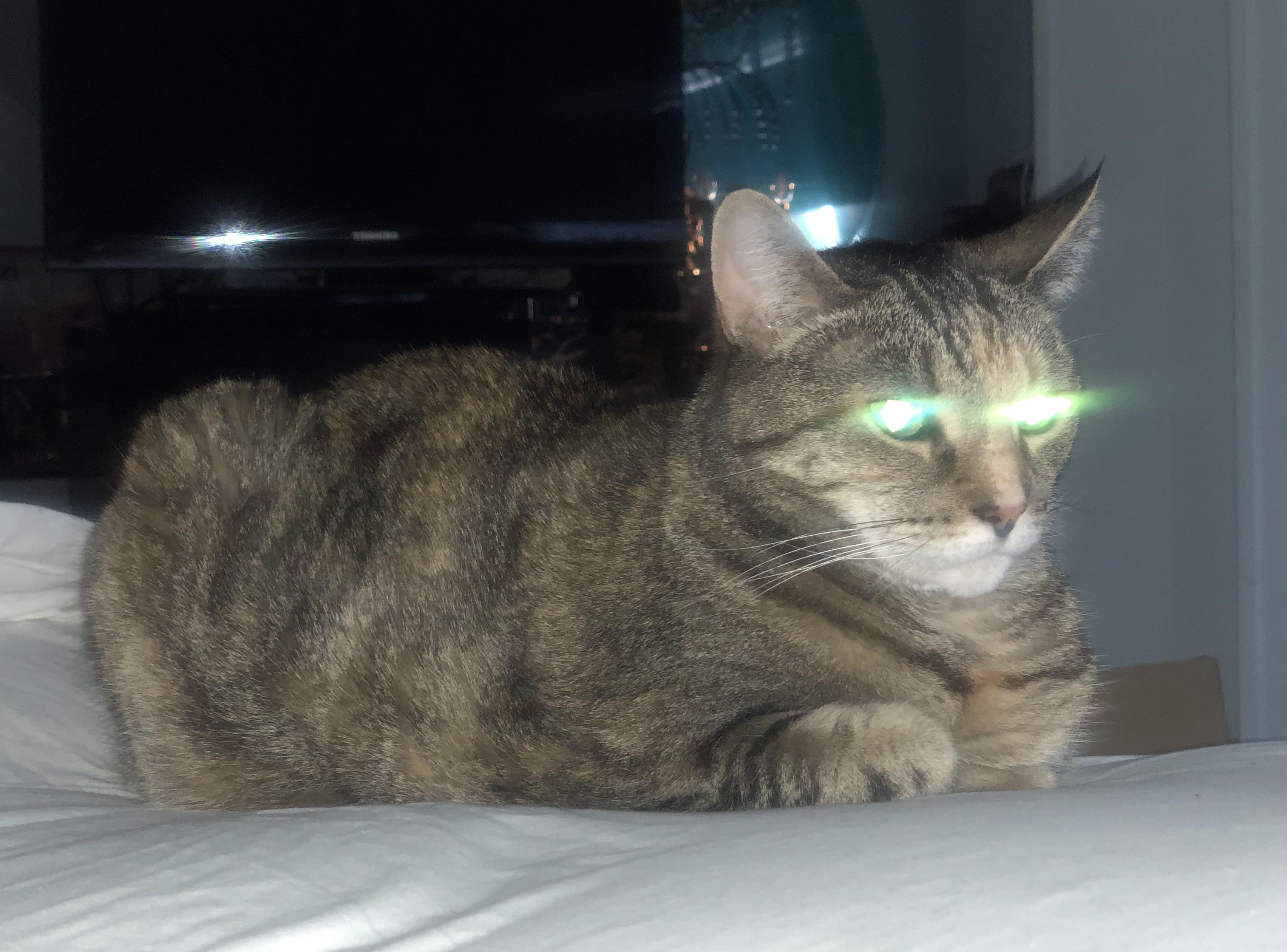 Laser Loaf from the Future | Scrolller