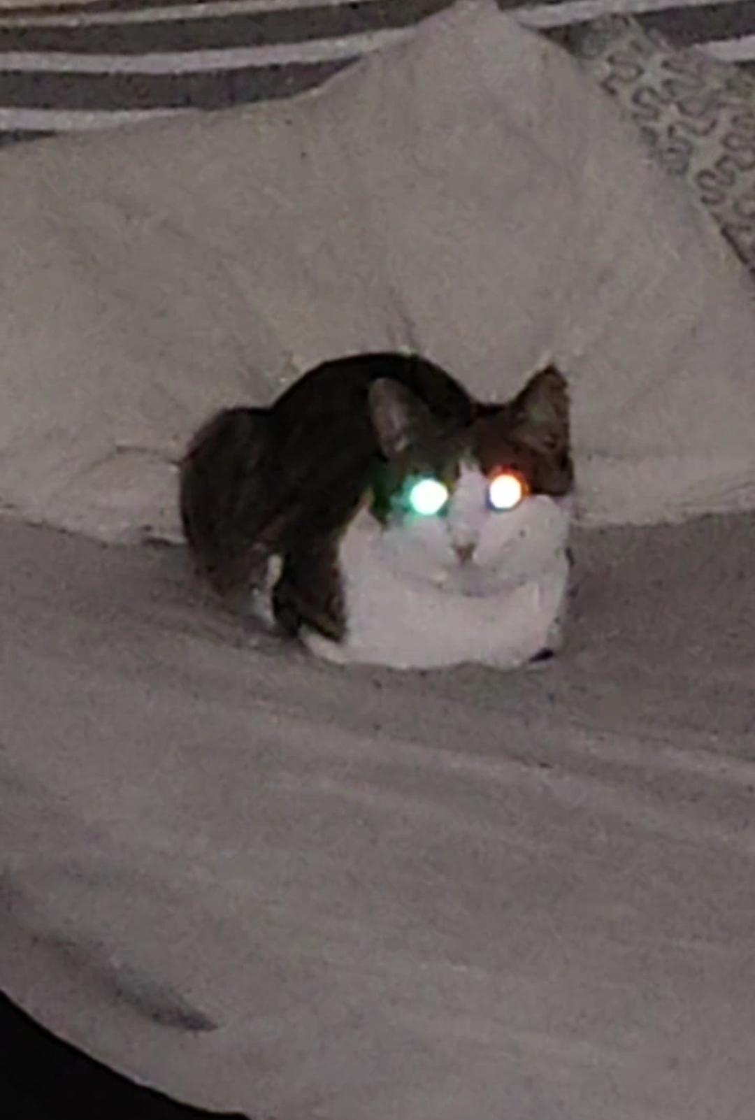 laserloaf | Scrolller