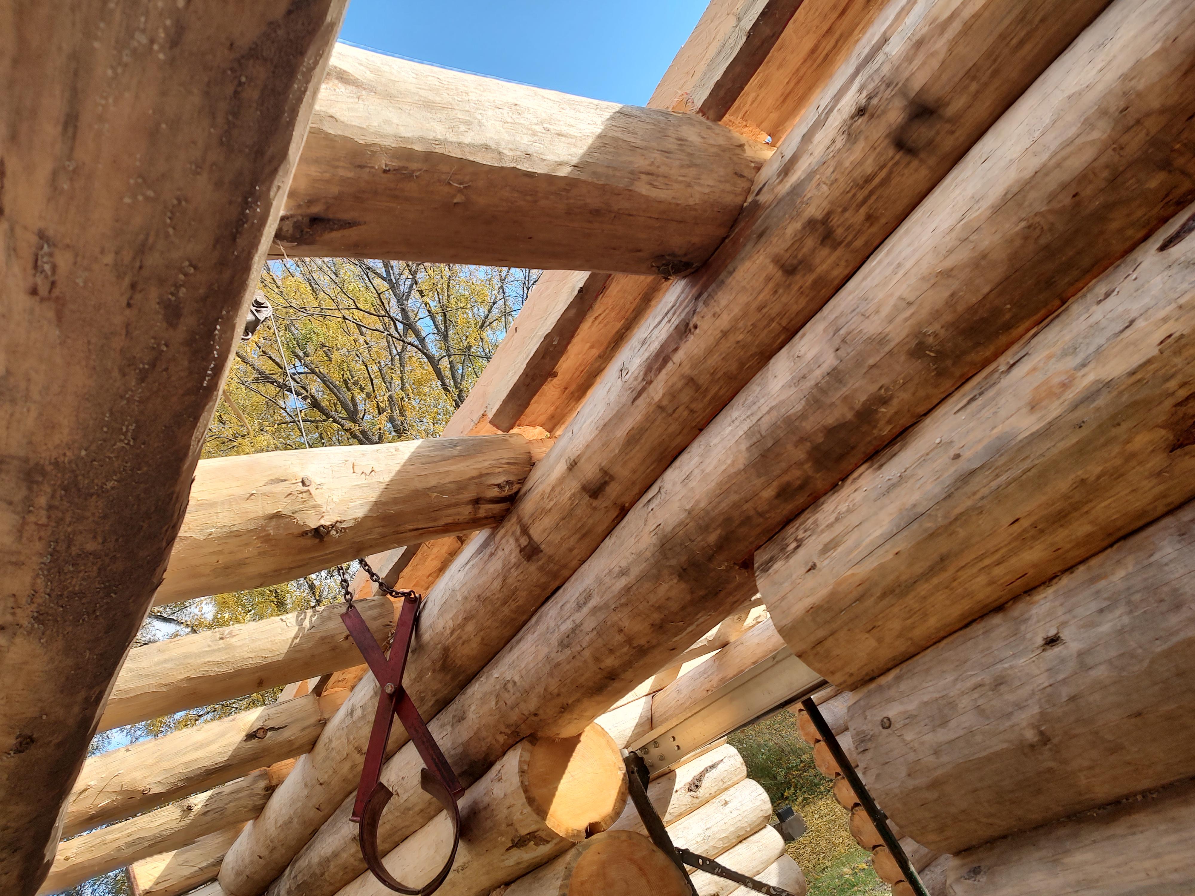 Last Log | Scrolller