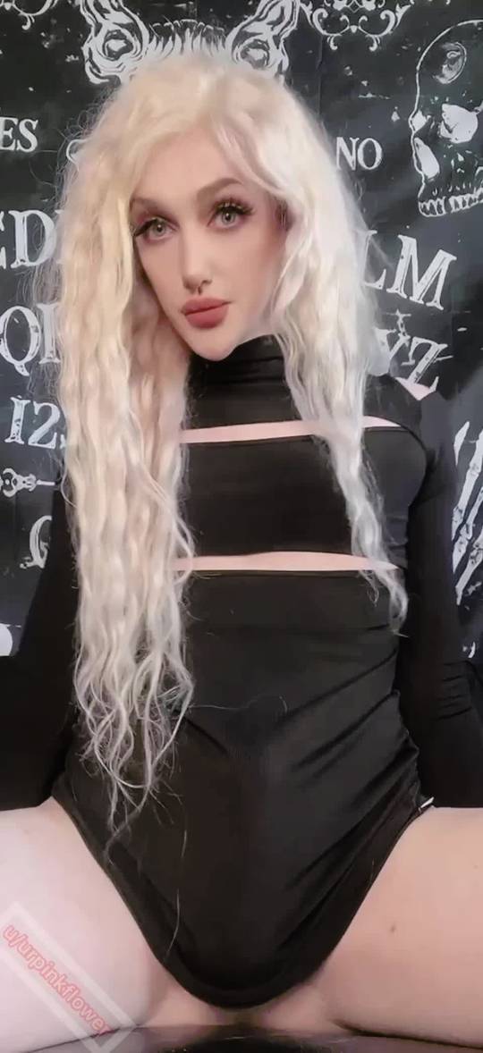 Let’s pound your holes | Scrolller