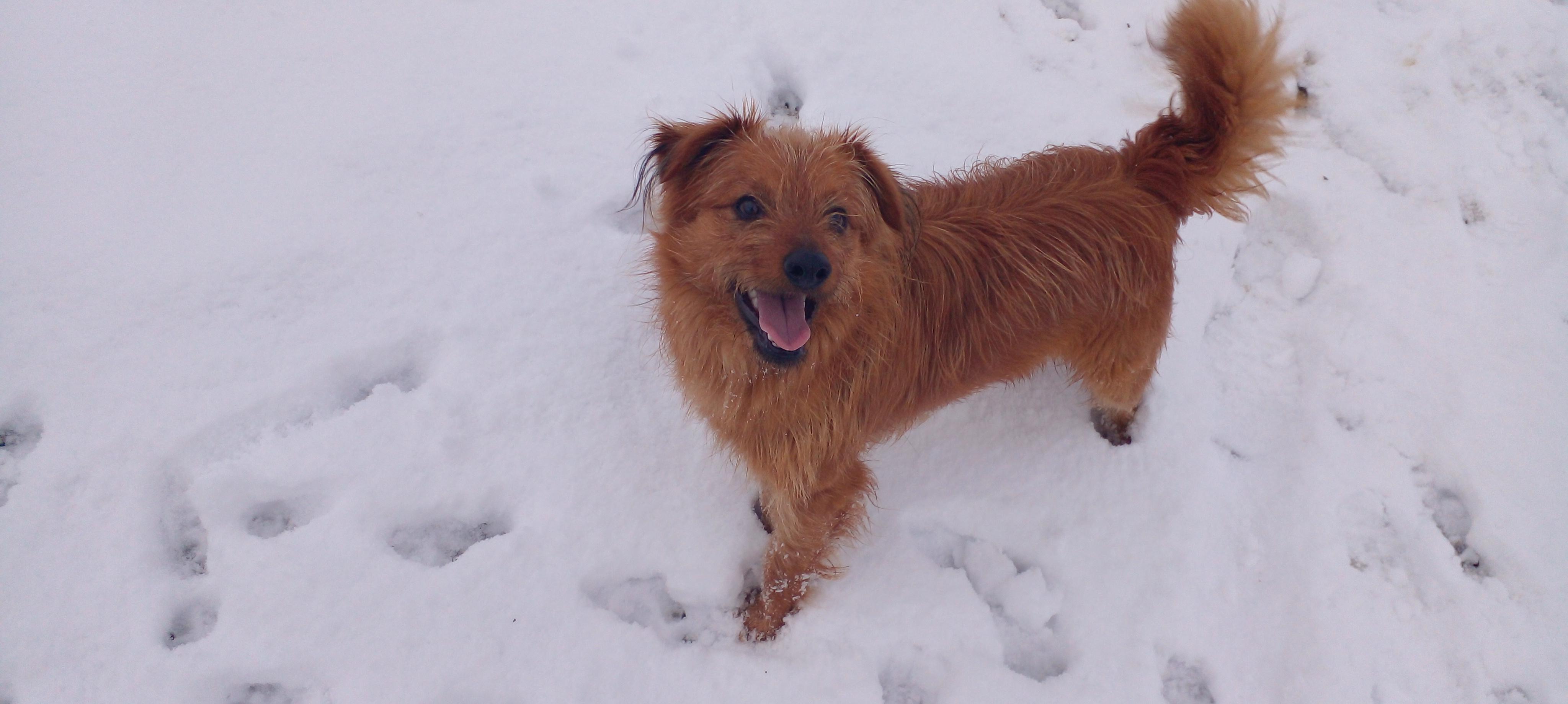 Let's play it's snow | Scrolller