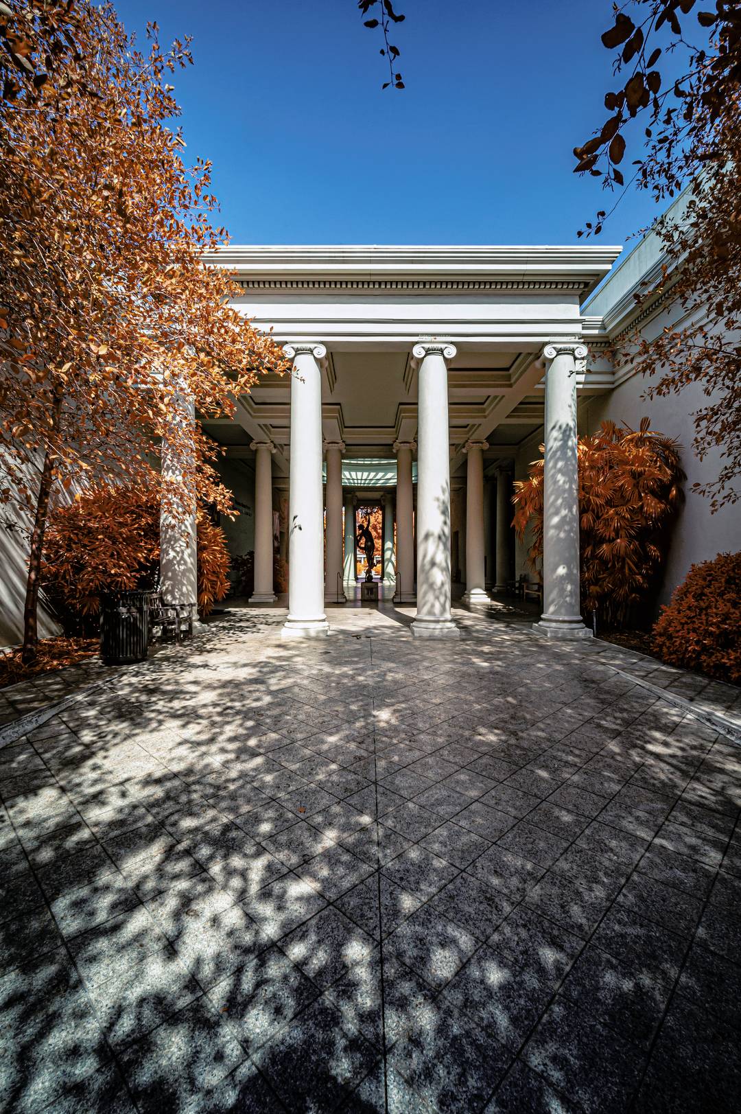 Light and Shadow | Scrolller