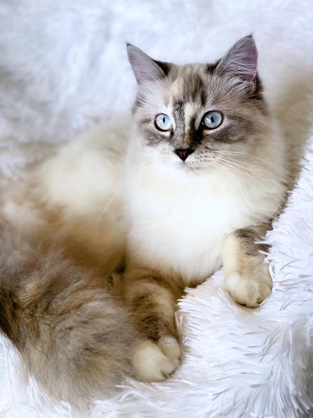 Lily 💘🌸 Scrolller