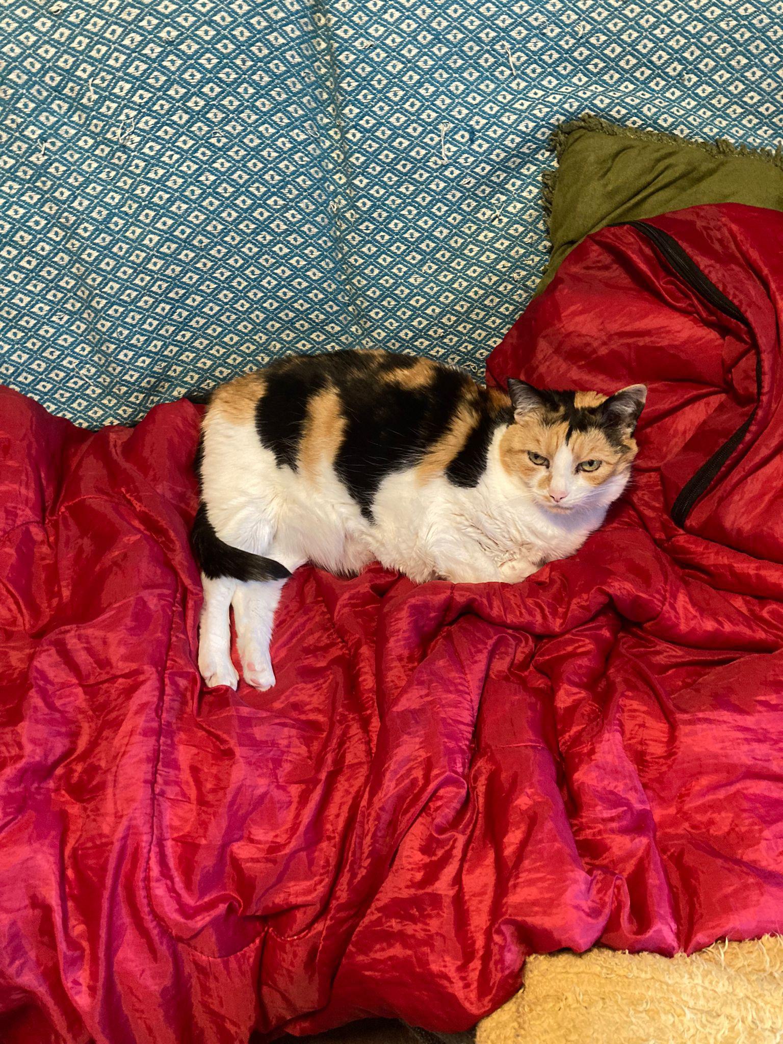 Little feetsies popped out | Scrolller