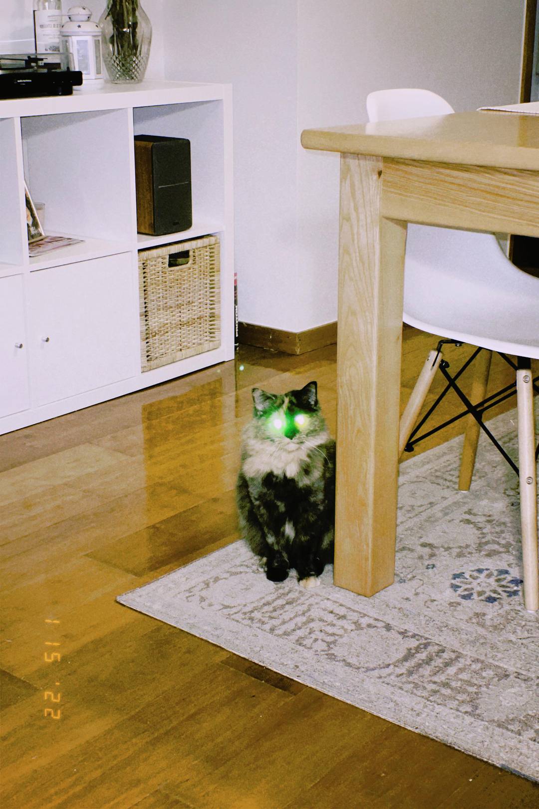 Little furry demon | Scrolller