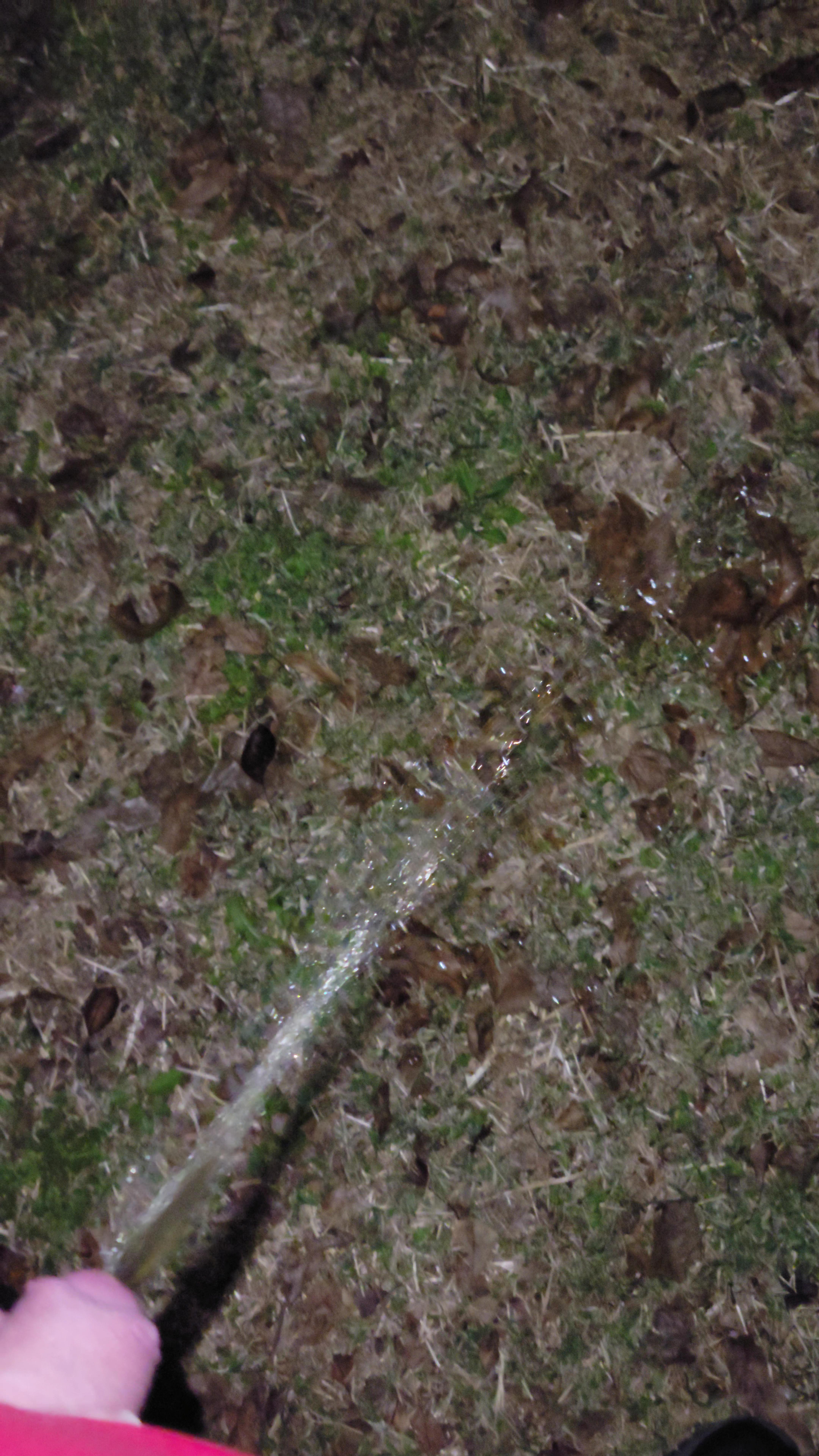 little late night piss | Scrolller