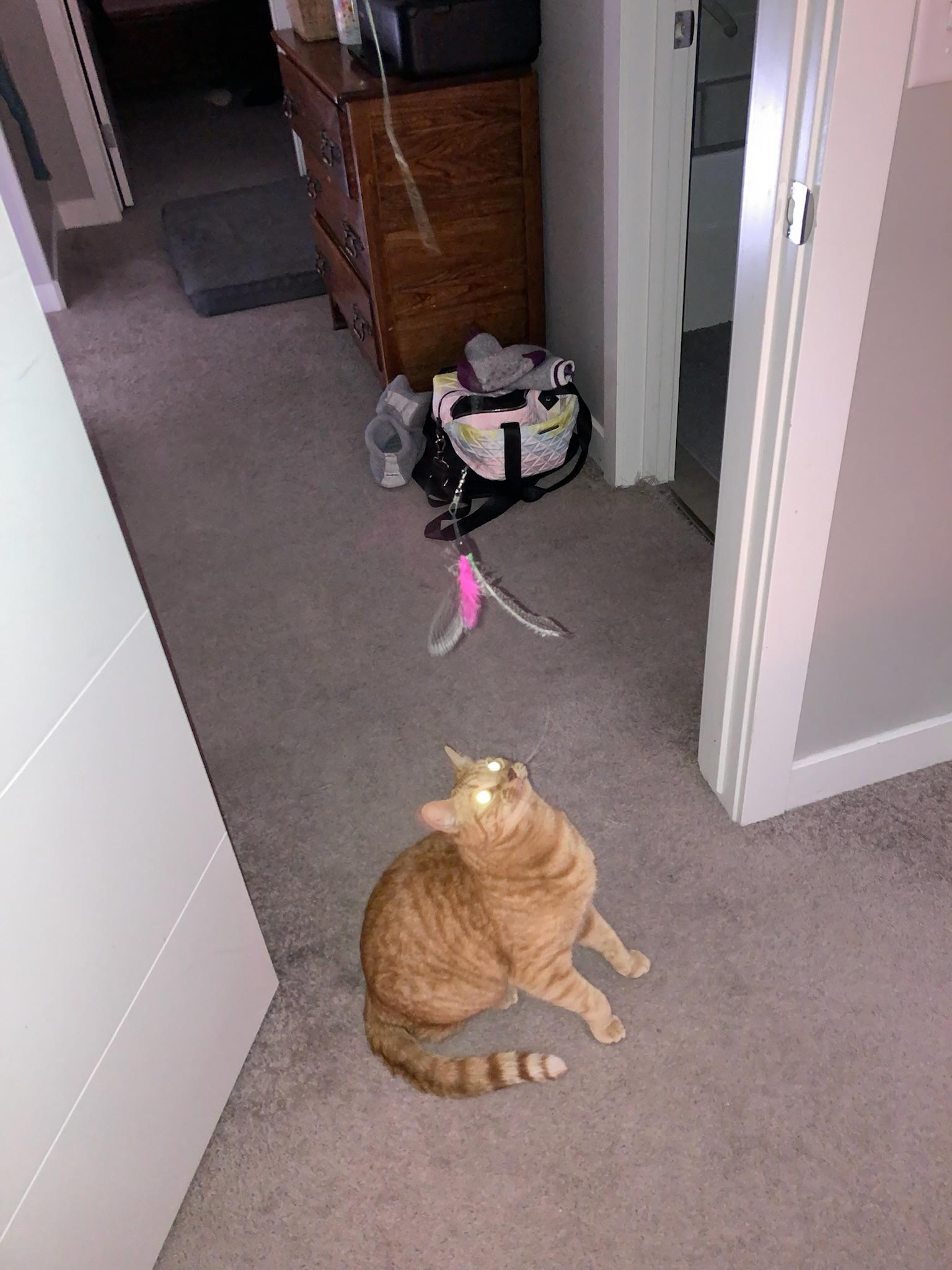 Locked on target. Charging laser beam. | Scrolller