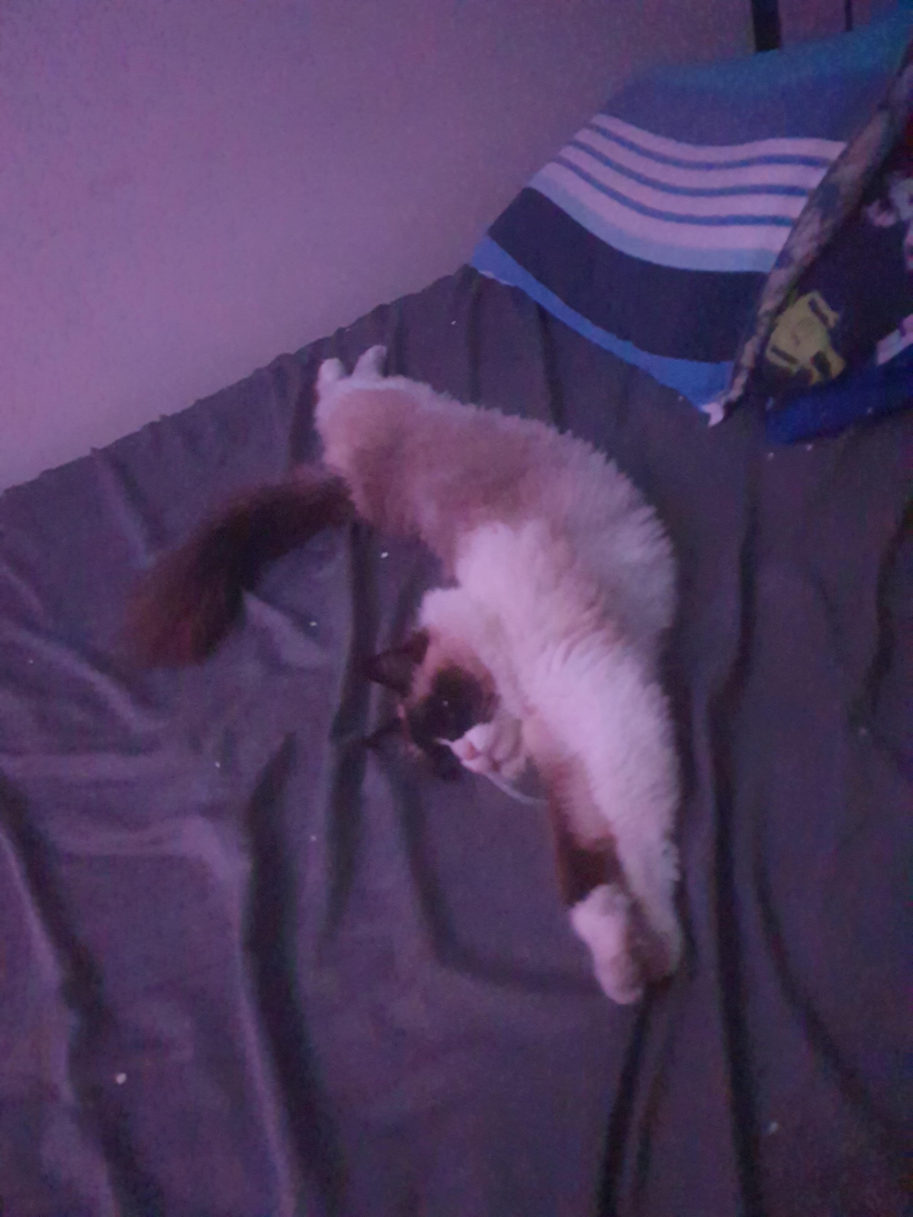 Long boi | Scrolller