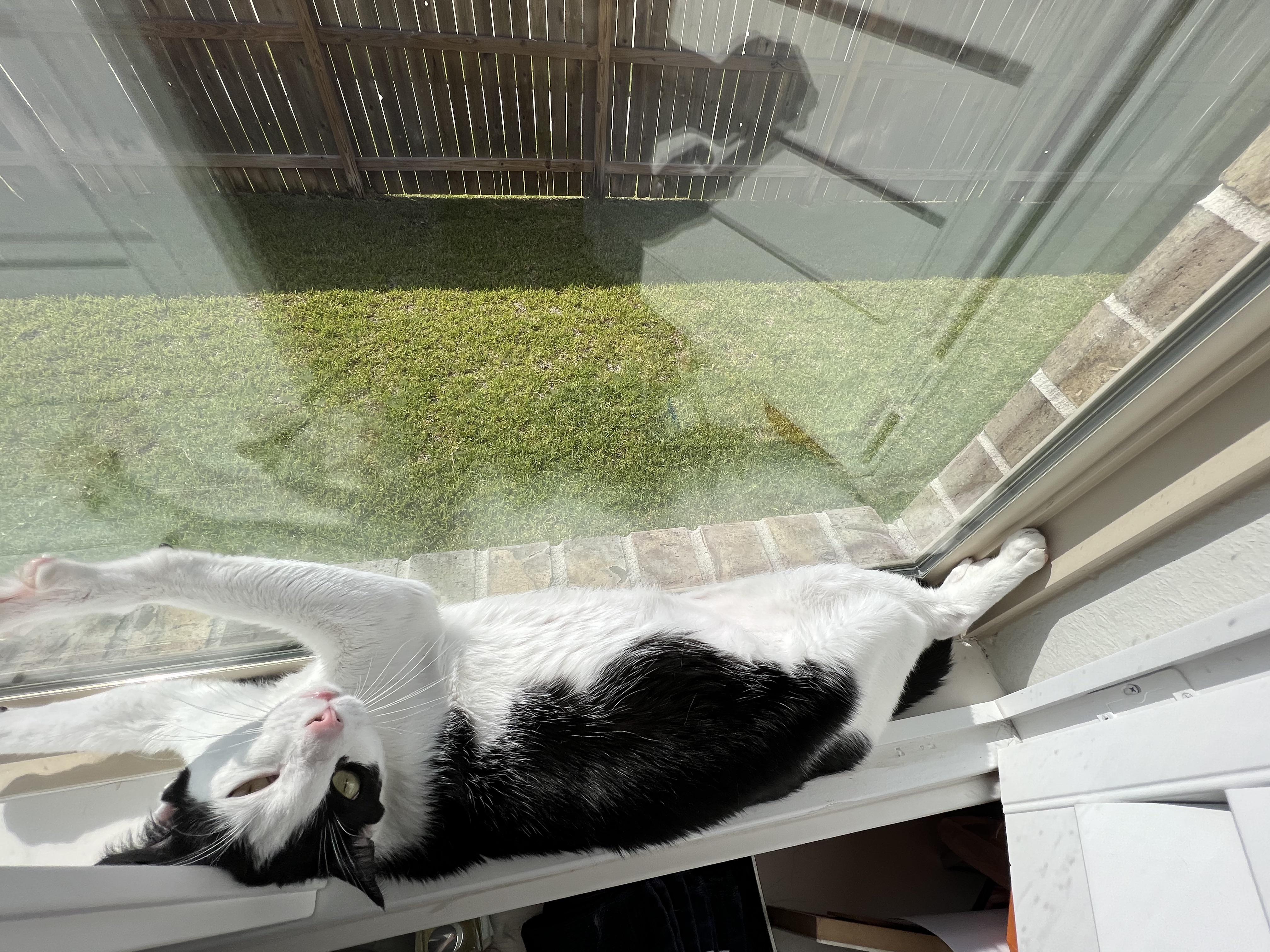 Long boy is long | Scrolller