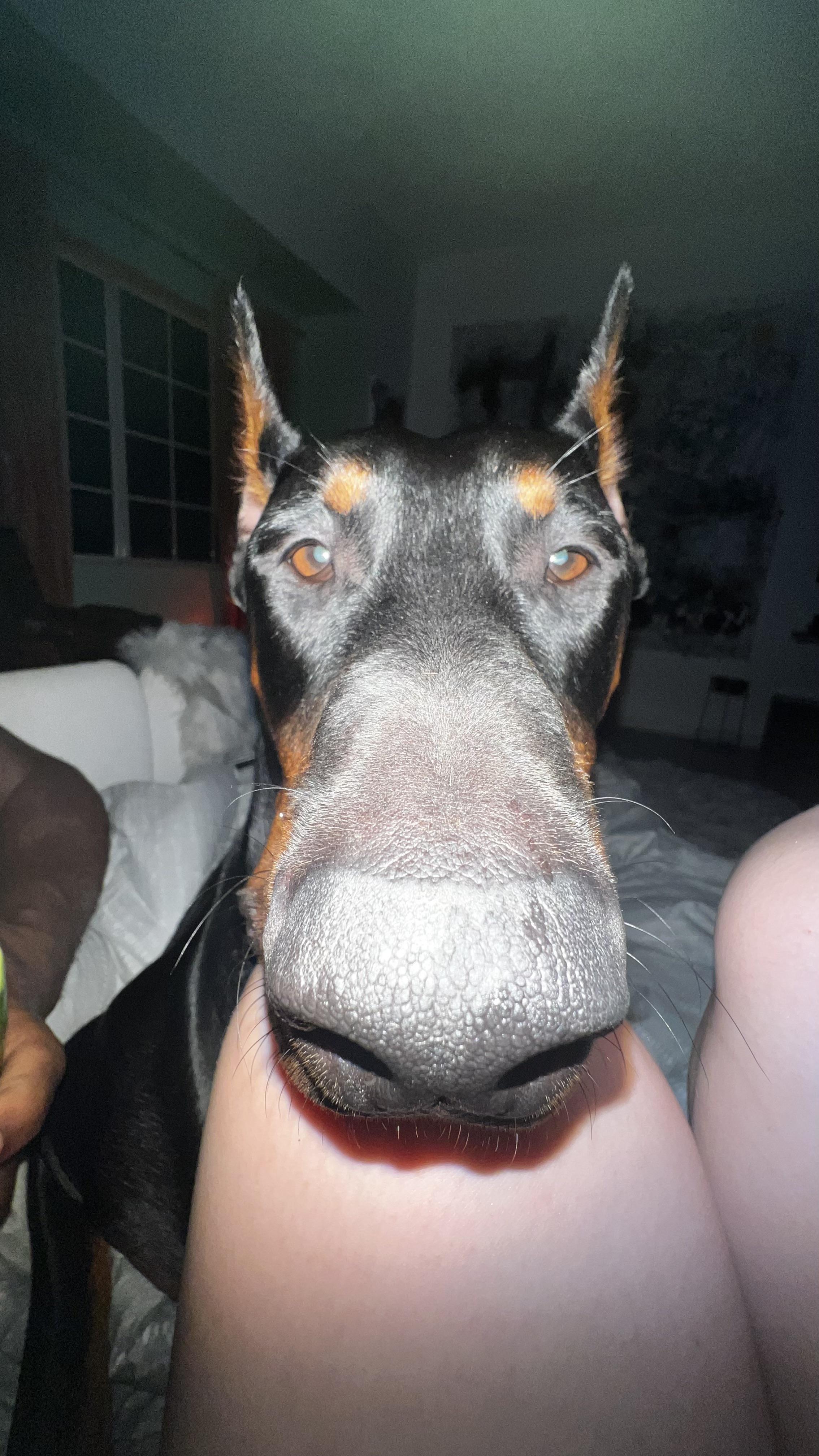 Long Face Boi | Scrolller
