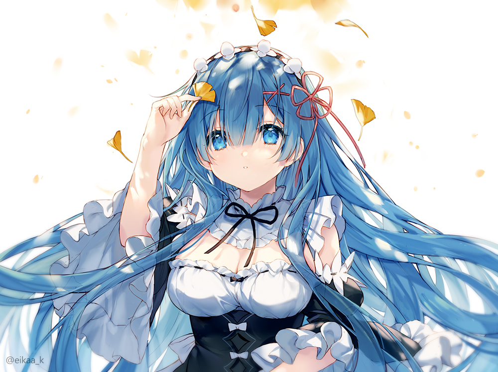 Long hair Rem [Re:Zero] | Scrolller