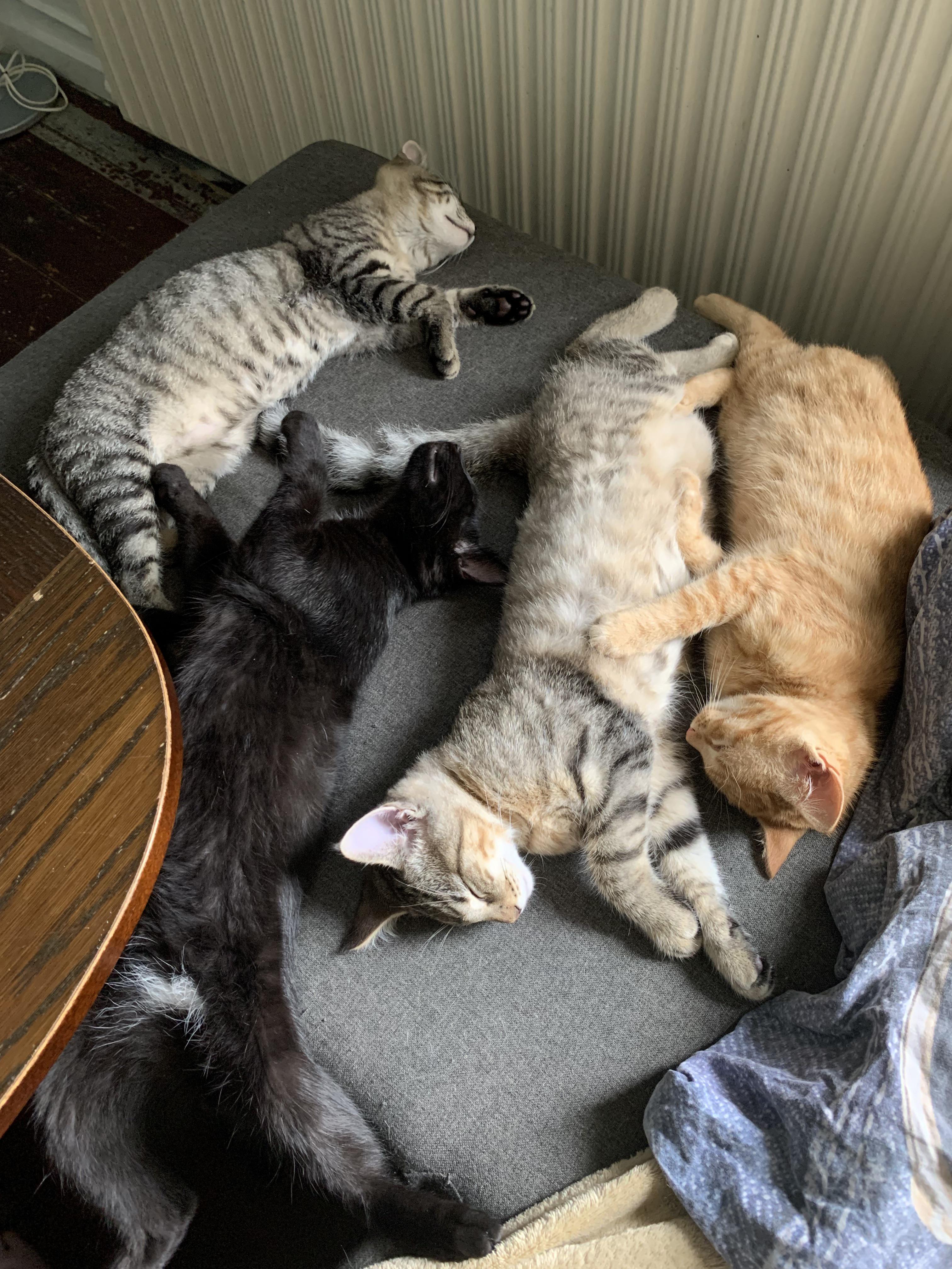 Long sleepy babies 🥰🥰 | Scrolller