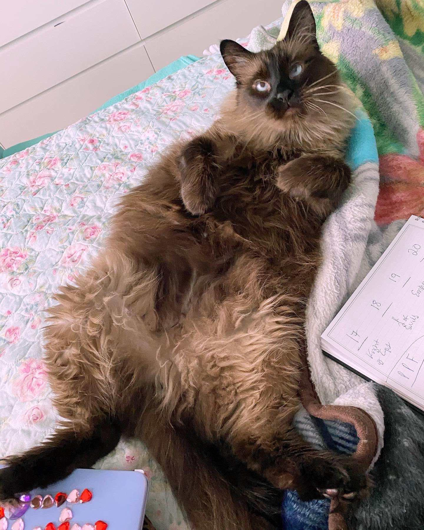 look closely and you’ll see some cuddly peanut cheeks 🐻 | Scrolller