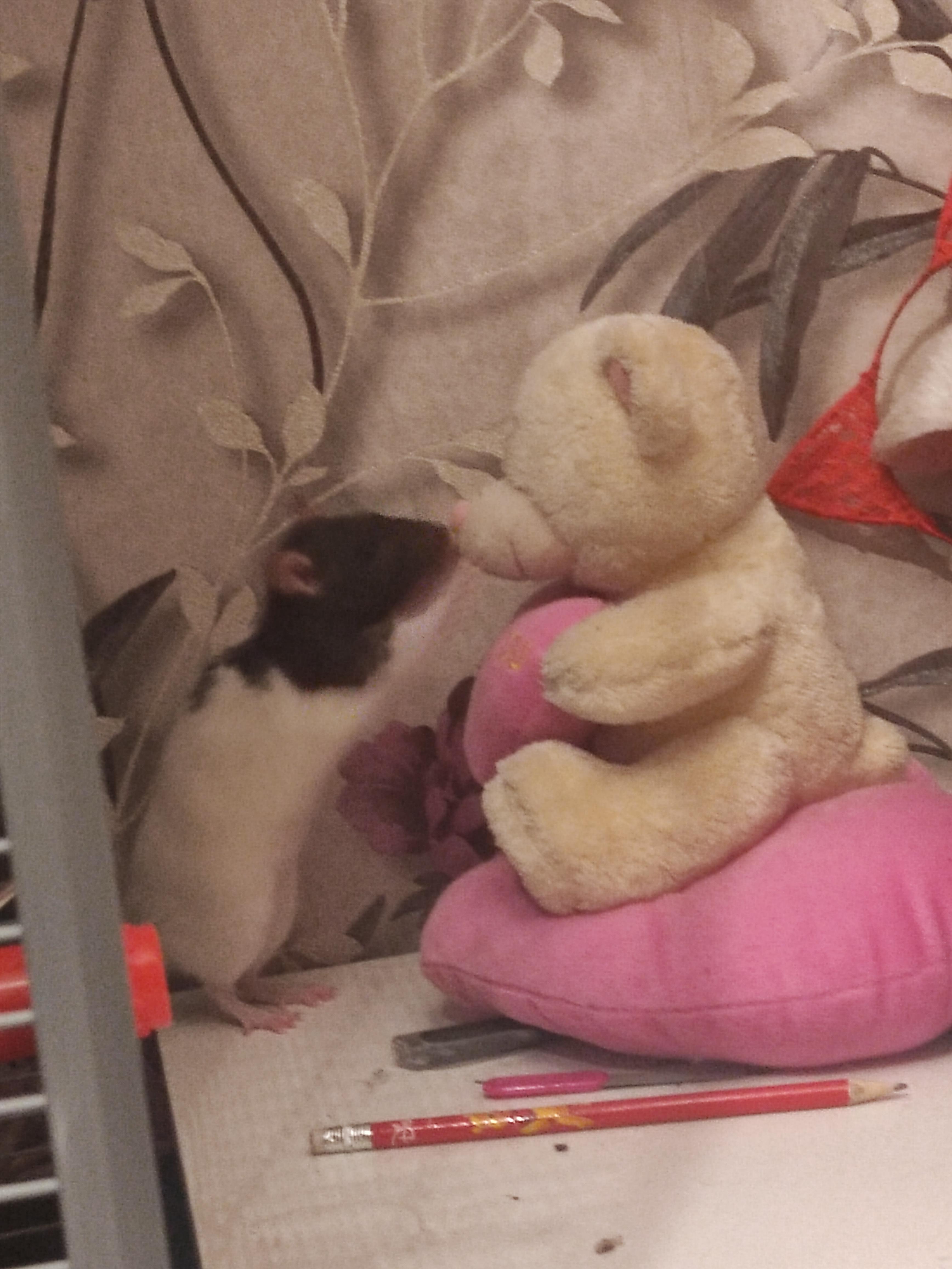 love at first sight. | Scrolller