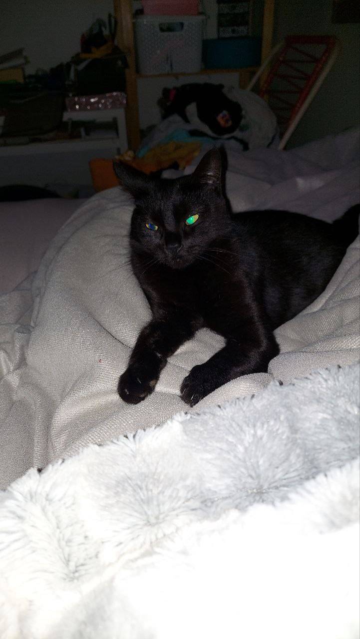 low battery | Scrolller