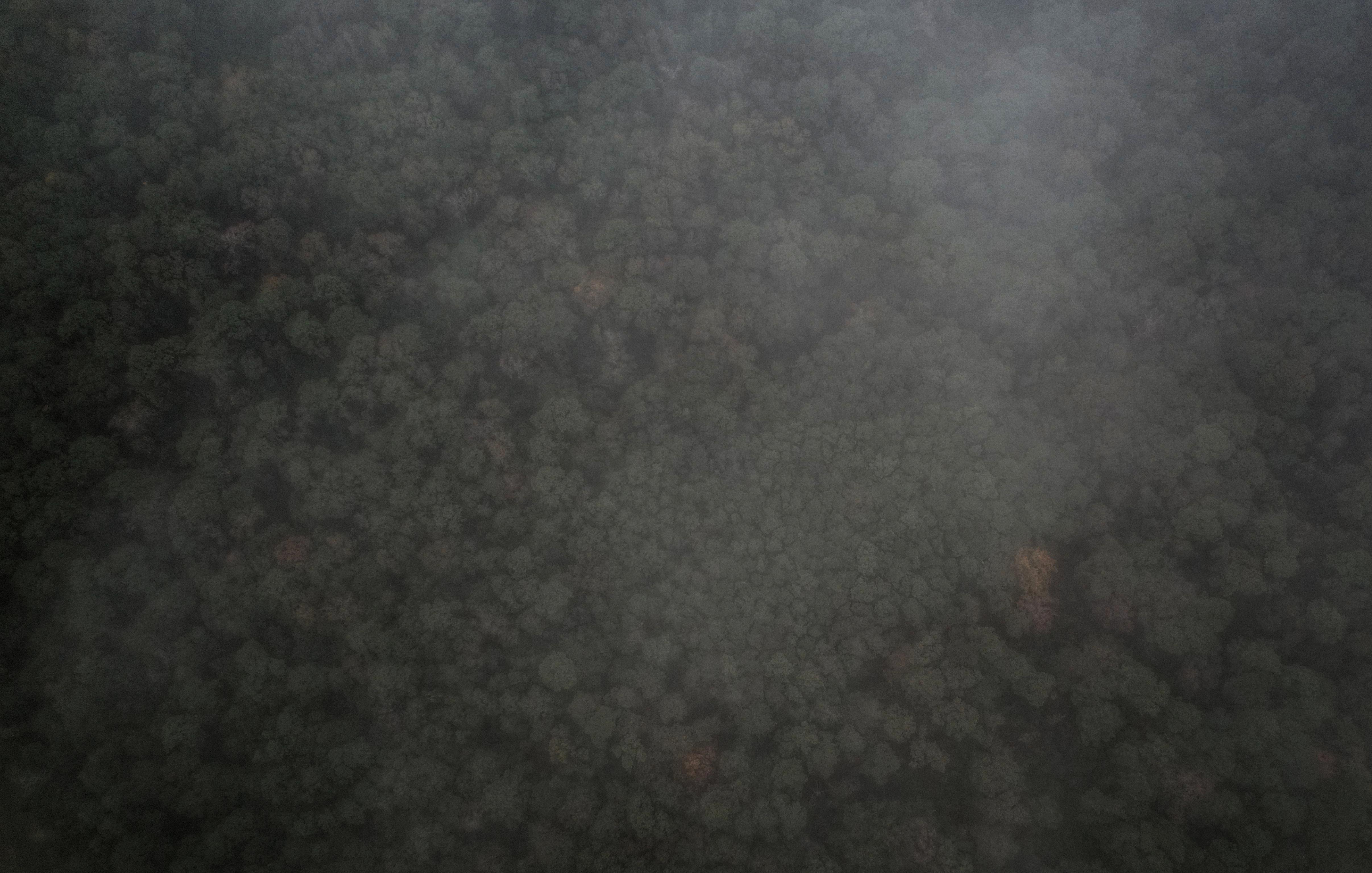 Low Hanging Clouds Above The Forest, Houston [OC] [4826 x 3070] | Scrolller