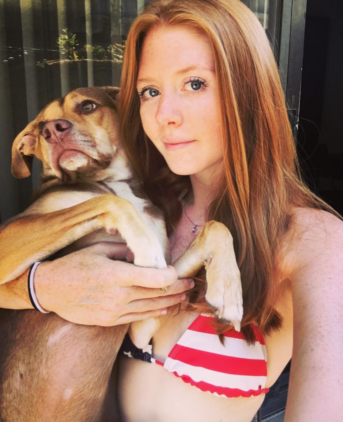 Lucky dog | Scrolller