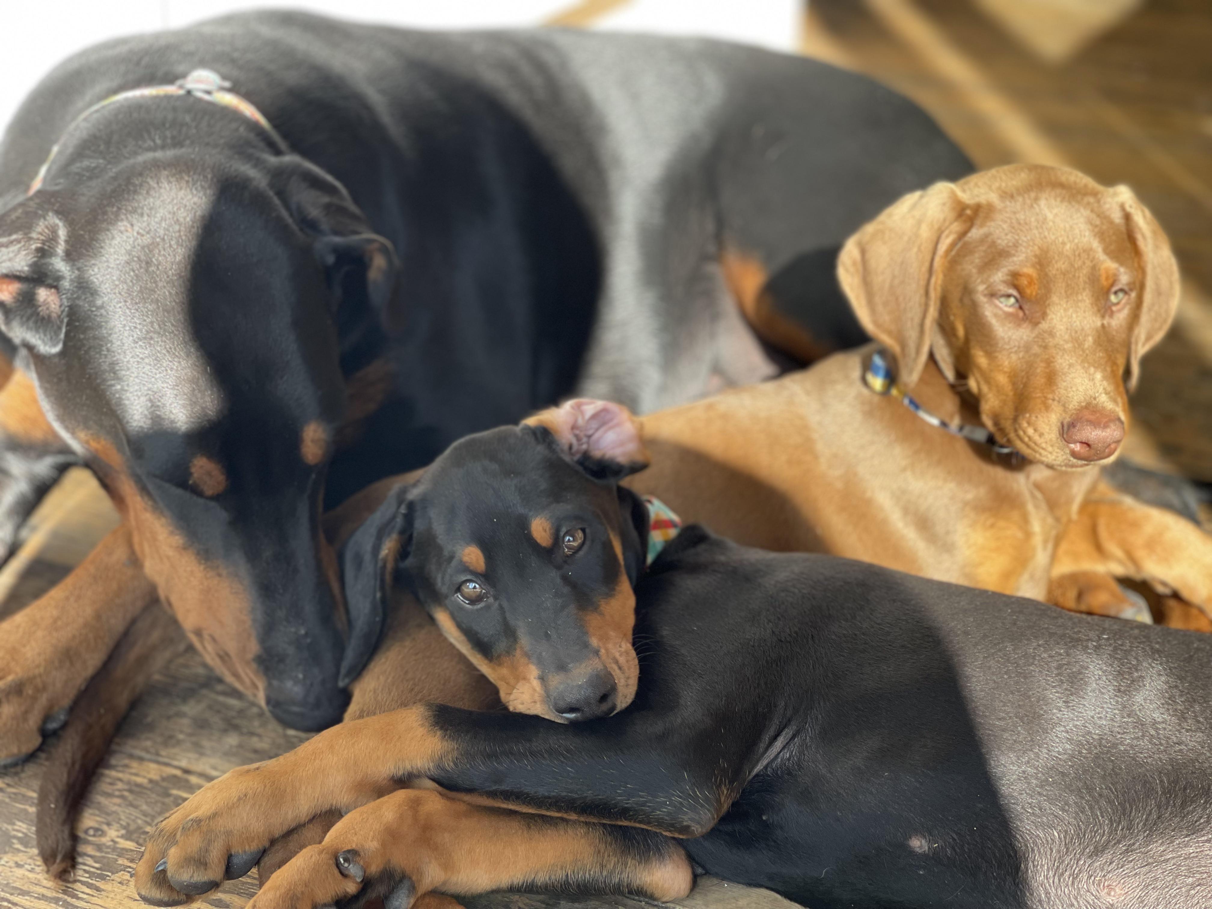 Mamas Love ️ Scrolller