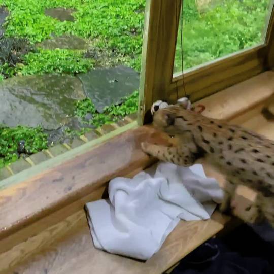 Maybe Maybe Maybe | Scrolller