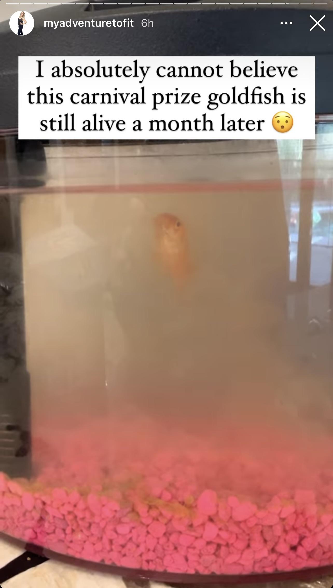 Me neither, considering how f’n disgusting it’s tank is. | Scrolller