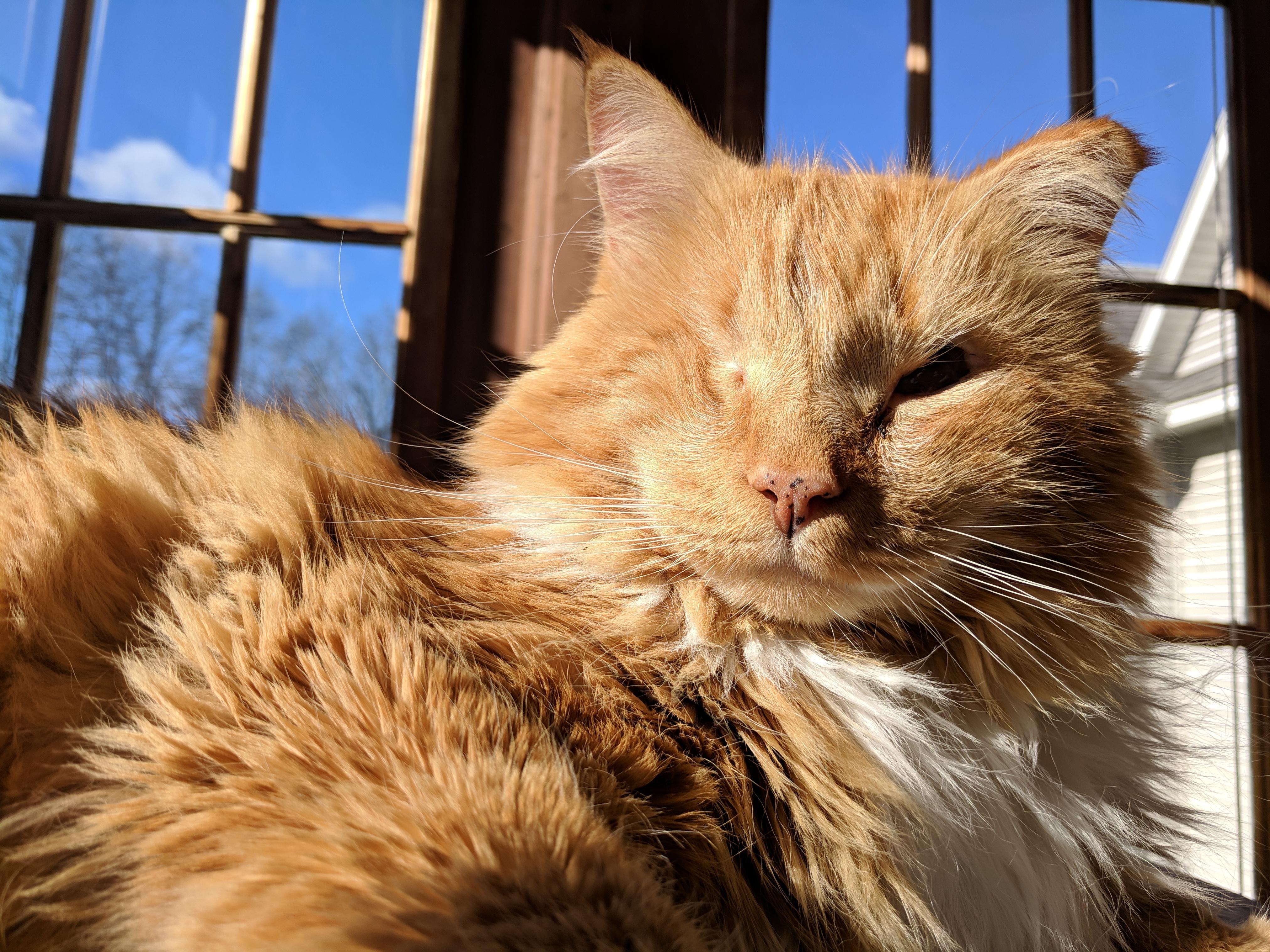 Meet Little | Scrolller