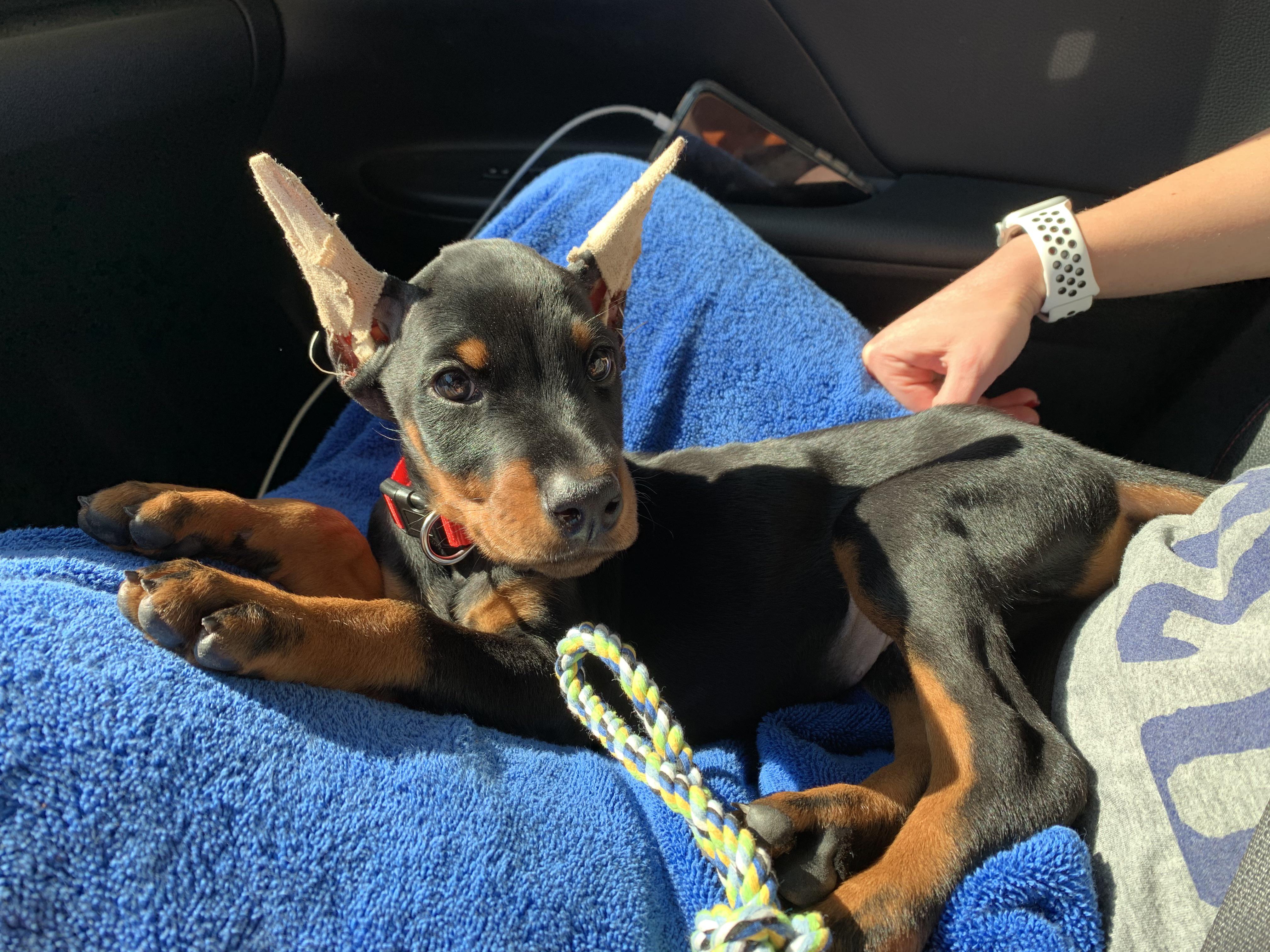 Meet Tex! Born on Friday the 13th in November. | Scrolller