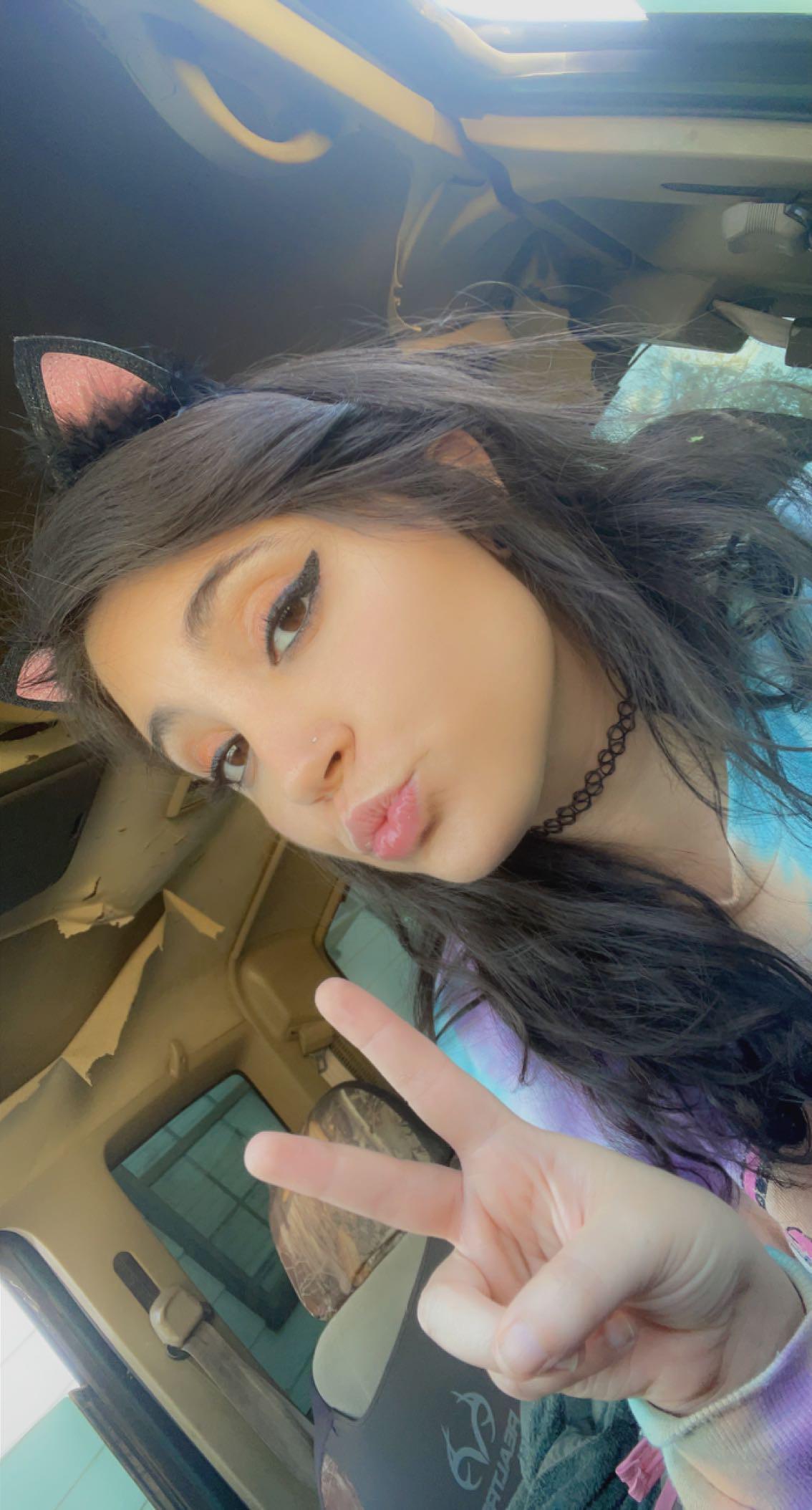 Meow 😸 | Scrolller