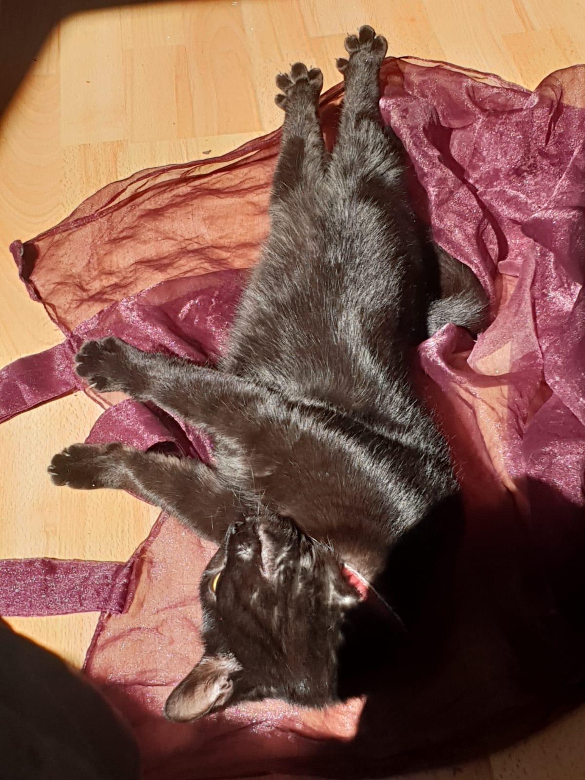 Mid stretch | Scrolller