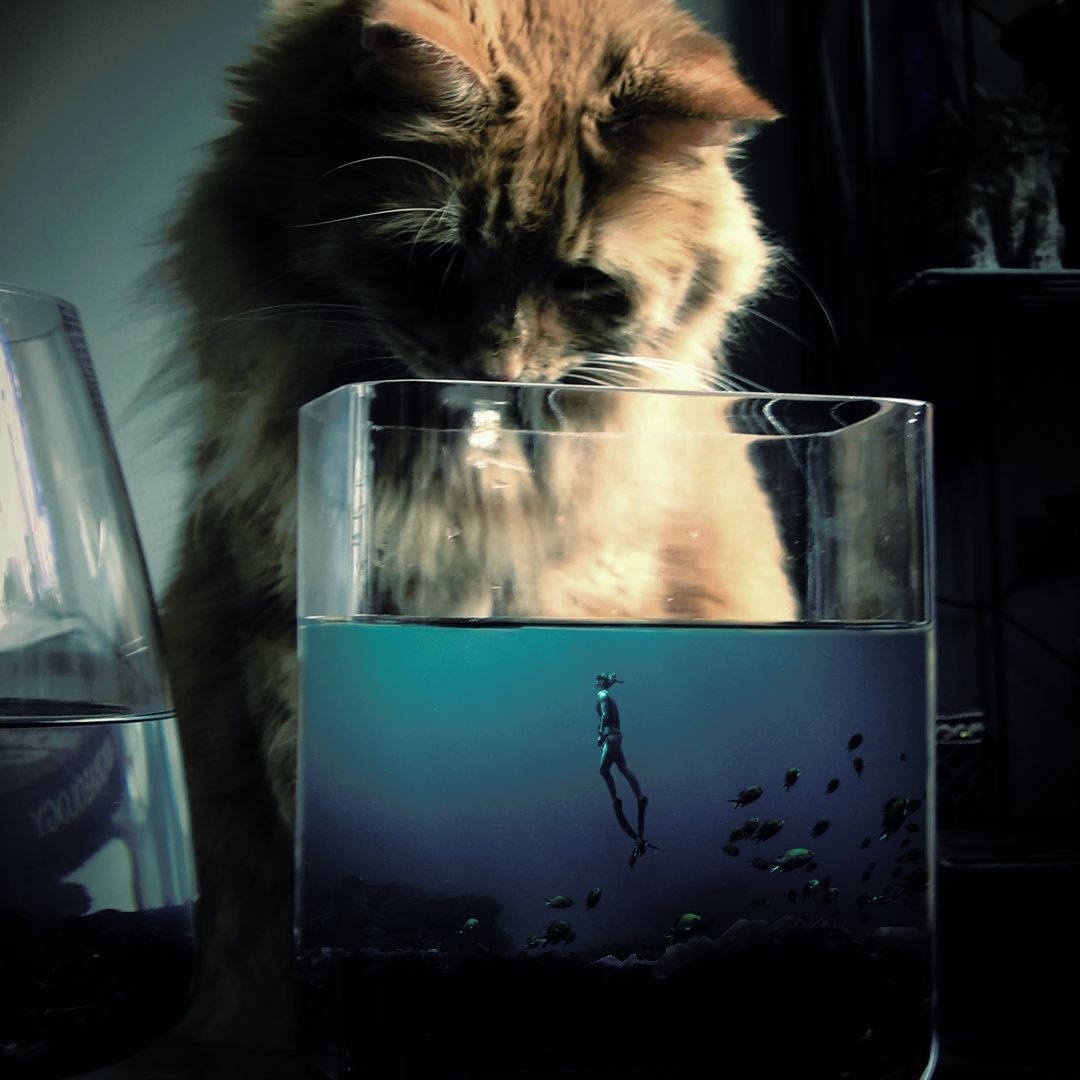 Mischievous | Scrolller