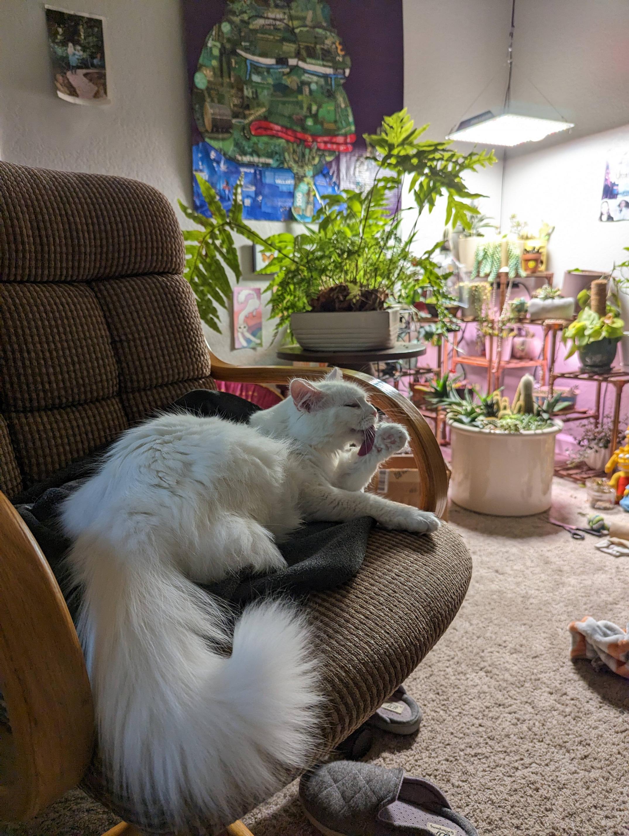 Miss Milk | Scrolller