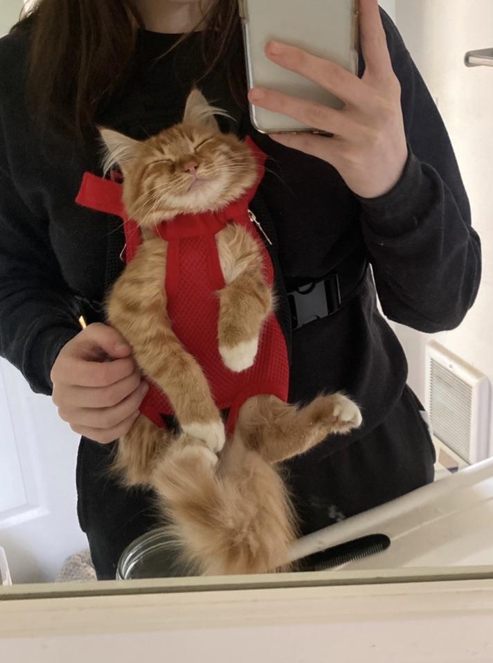 Miss Stella Bean. Smelly Stelly has megaesophagus, an illness that prevents food going directly ...