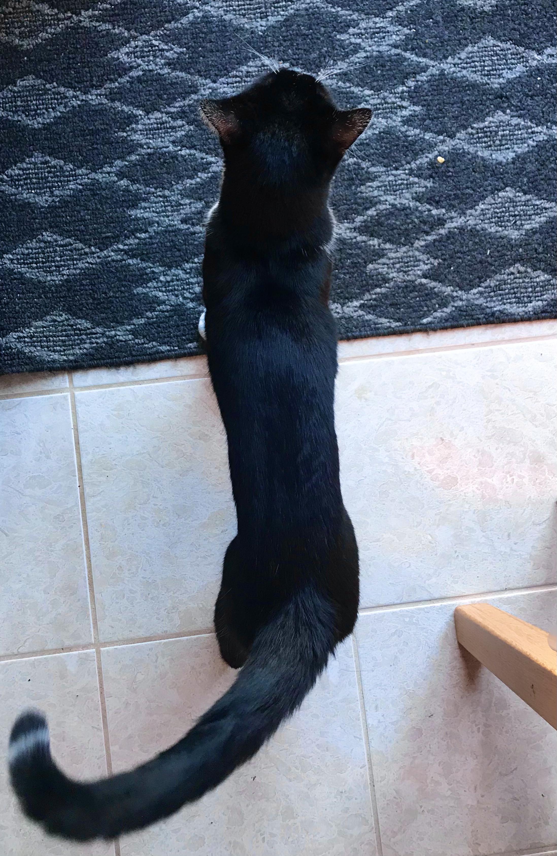 Modelesque | Scrolller