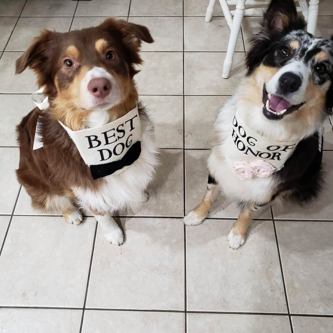 Mom and dad are getting married! | Scrolller