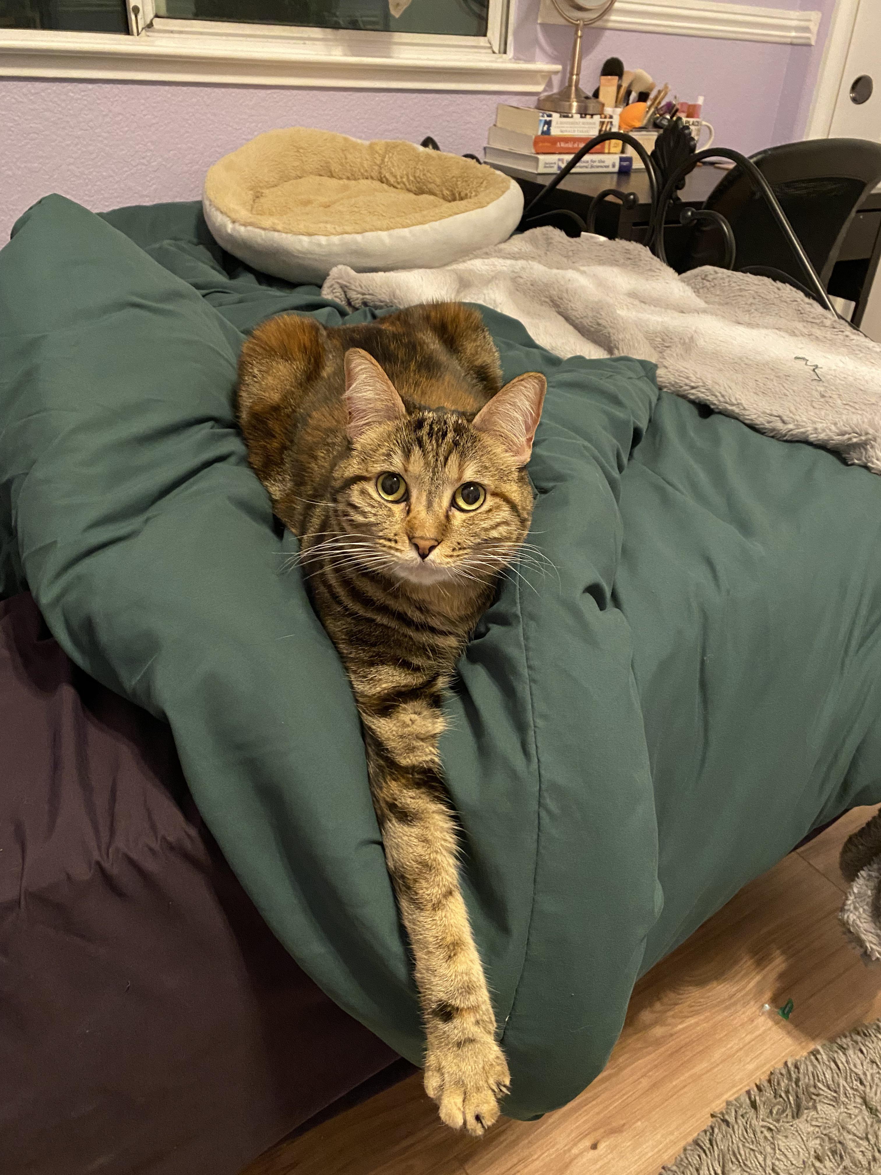 Monkey’s signature one arm pose | Scrolller