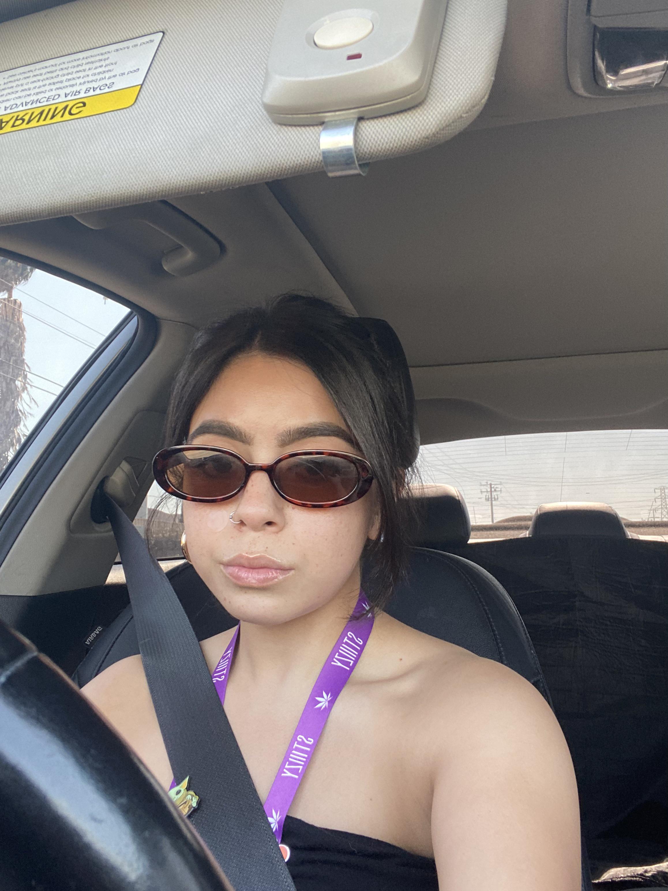 morning sun is blinding | Scrolller