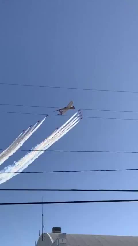 Mother jet and her jittens | Scrolller